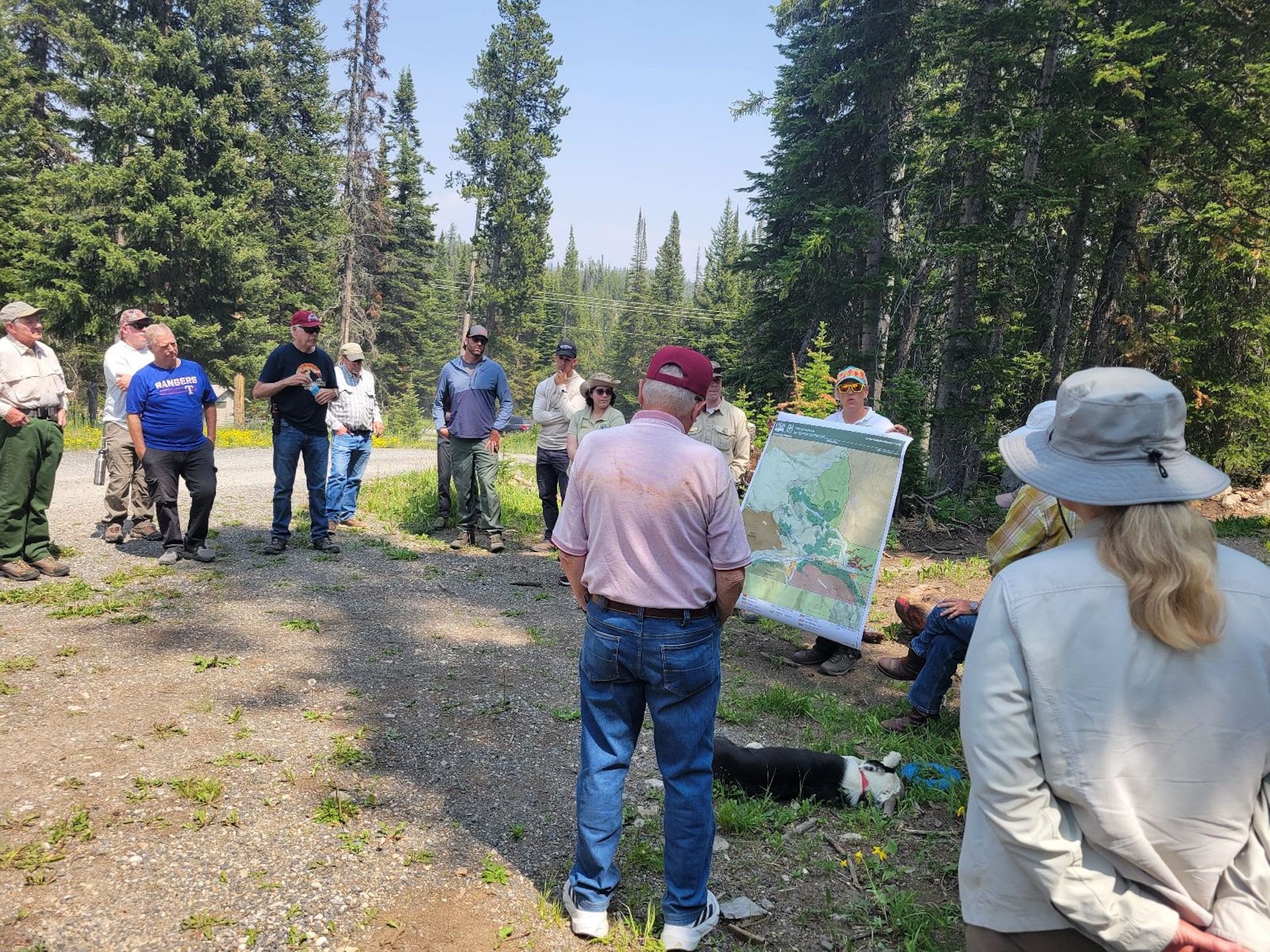 Forest Service Logging Project in Cooke City — Park County ...