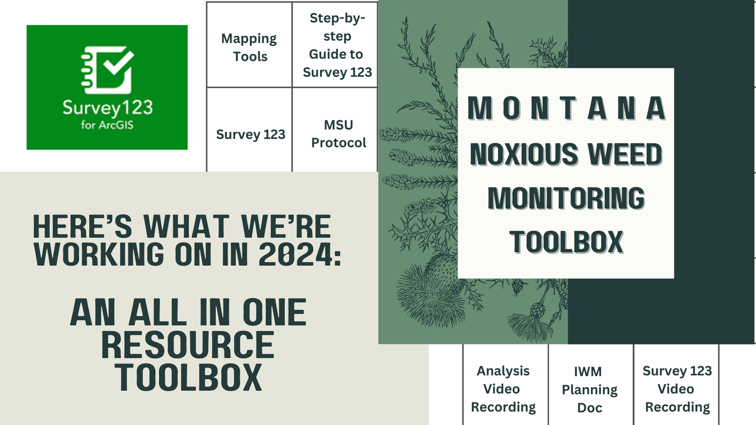 Montana Noxious Weed Monitoring Toolbox — Park County Environmental Council