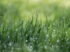 Phobias Explained: Fear of Rain — Dr. Whitley Lassen - Specialty in ...