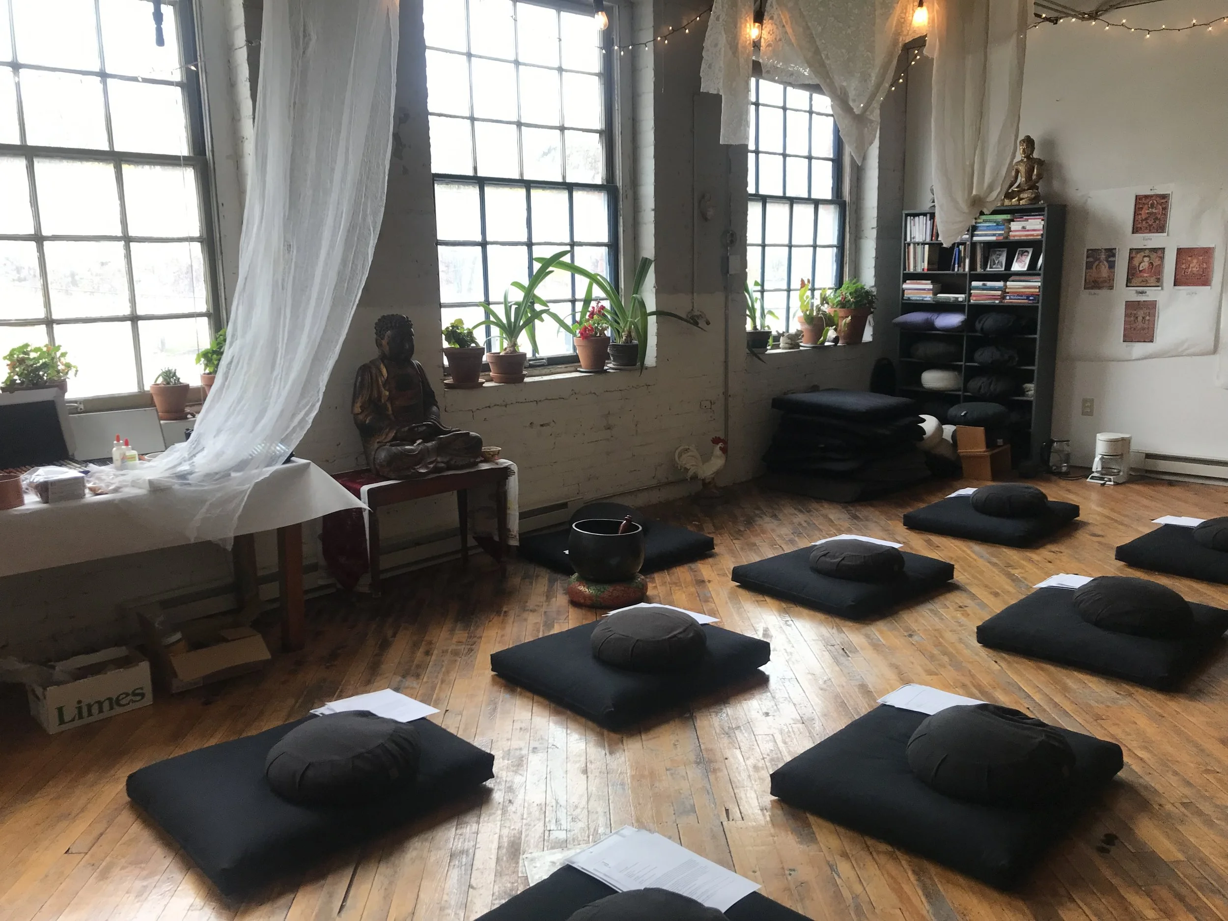 Unadorned Lotus Dharma Studio