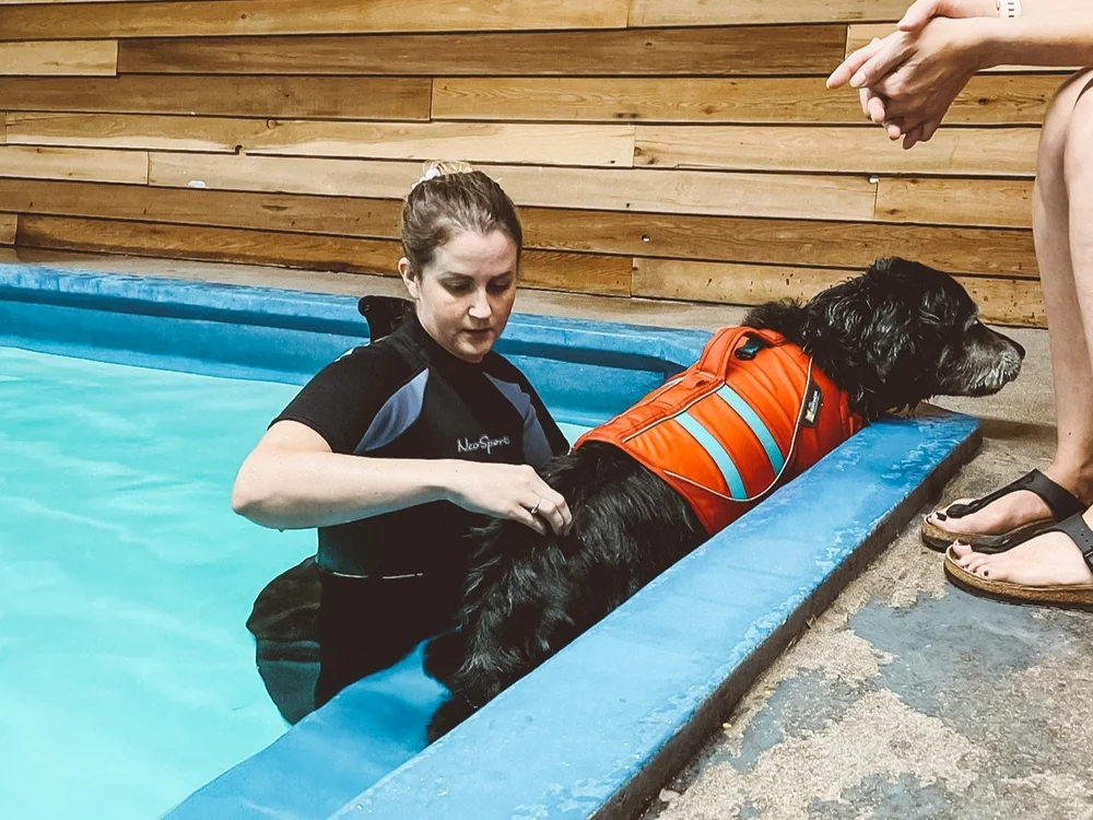 Aqua Paws - Rehab, Hydrotherapy, Fitness and Wellness — Aquapaws Canine ...
