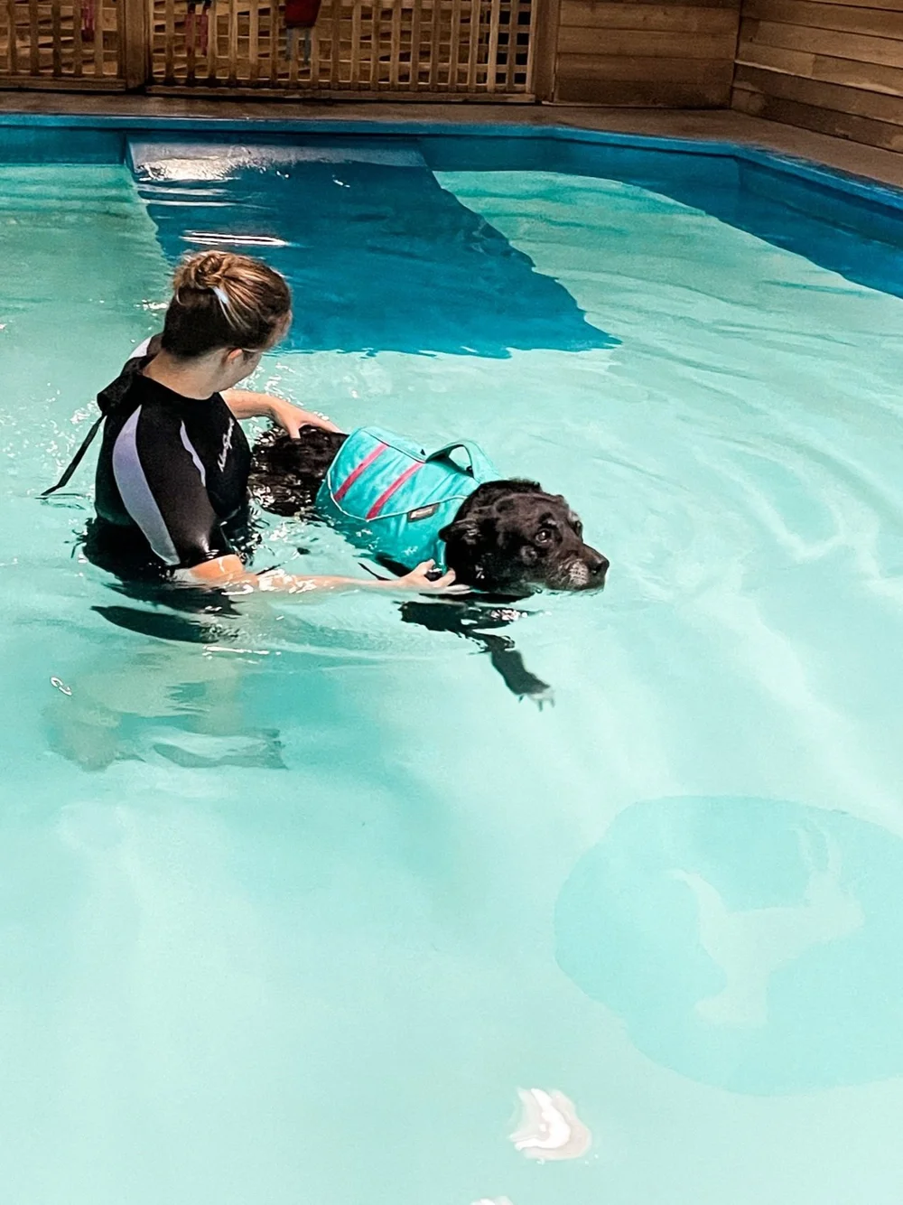 Aquapaws Canine Aquatic and Fitness Center
