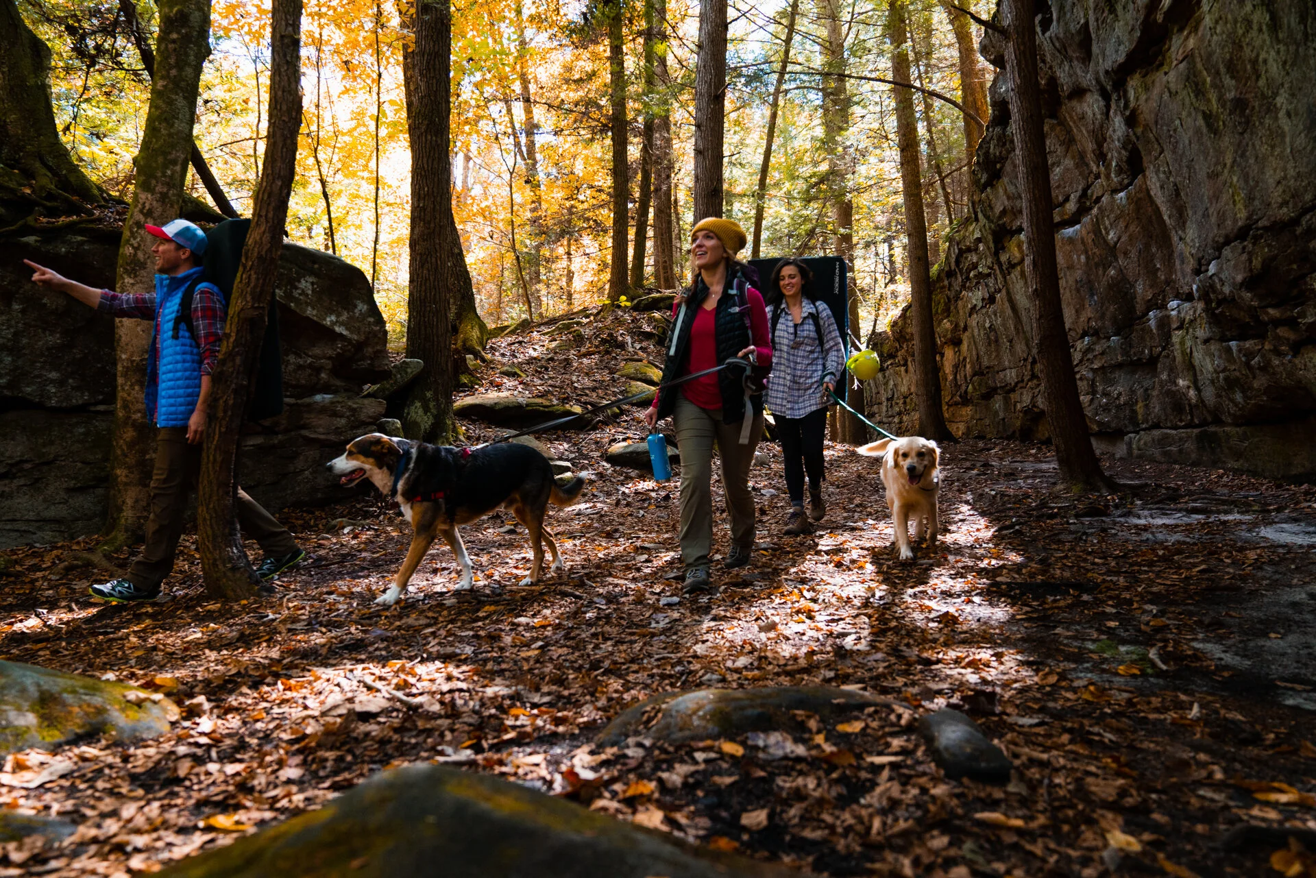 Climbing with Your Dog 101 — Triumph Pet Food
