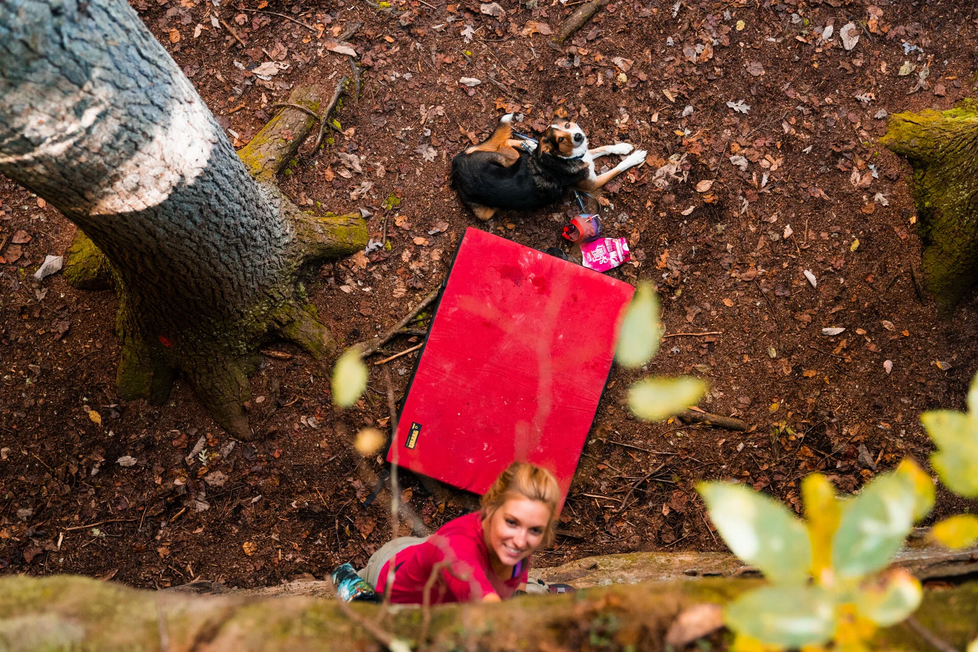 Climbing with Your Dog 101 — Triumph Pet Food