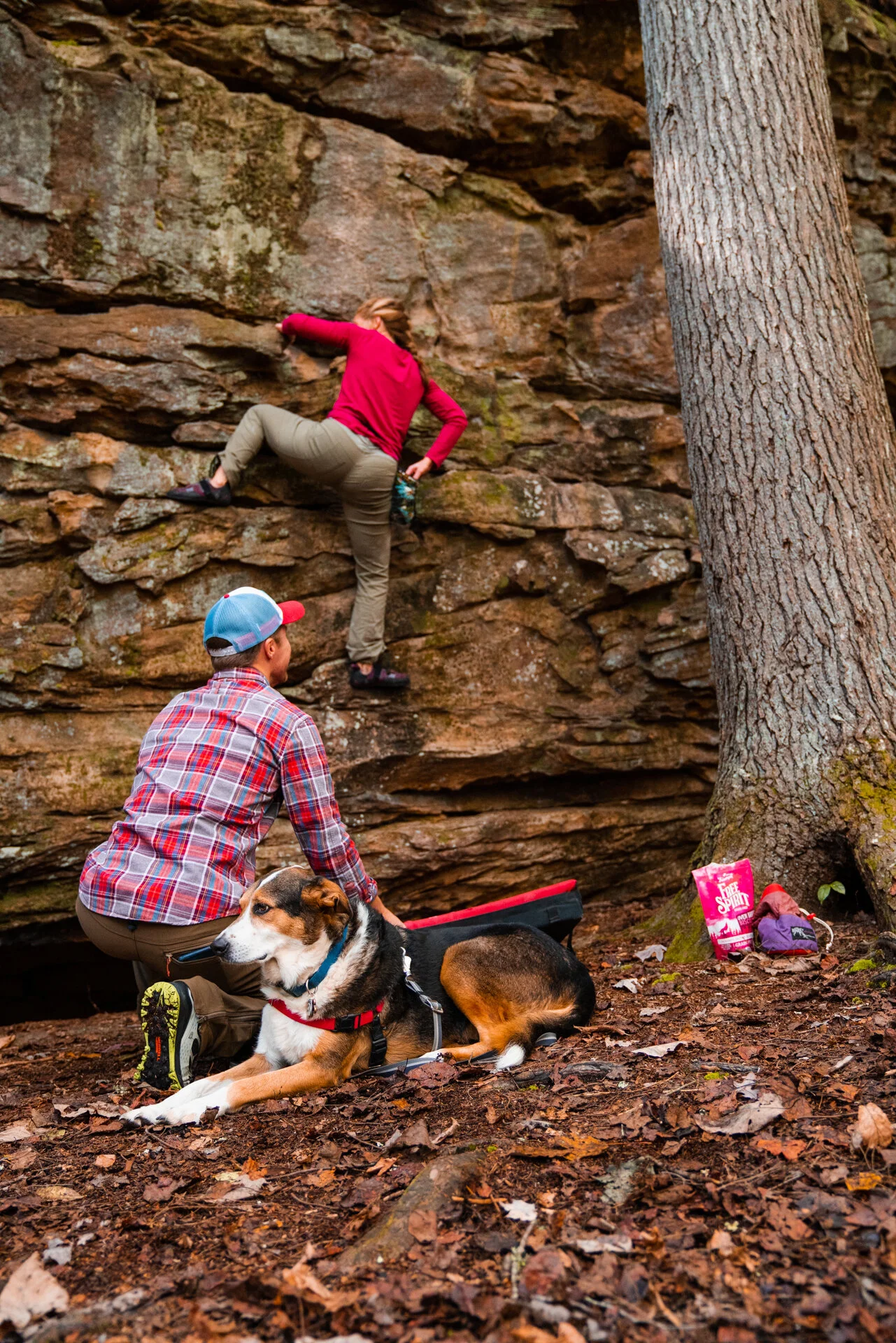 Climbing with Your Dog 101 — Triumph Pet Food