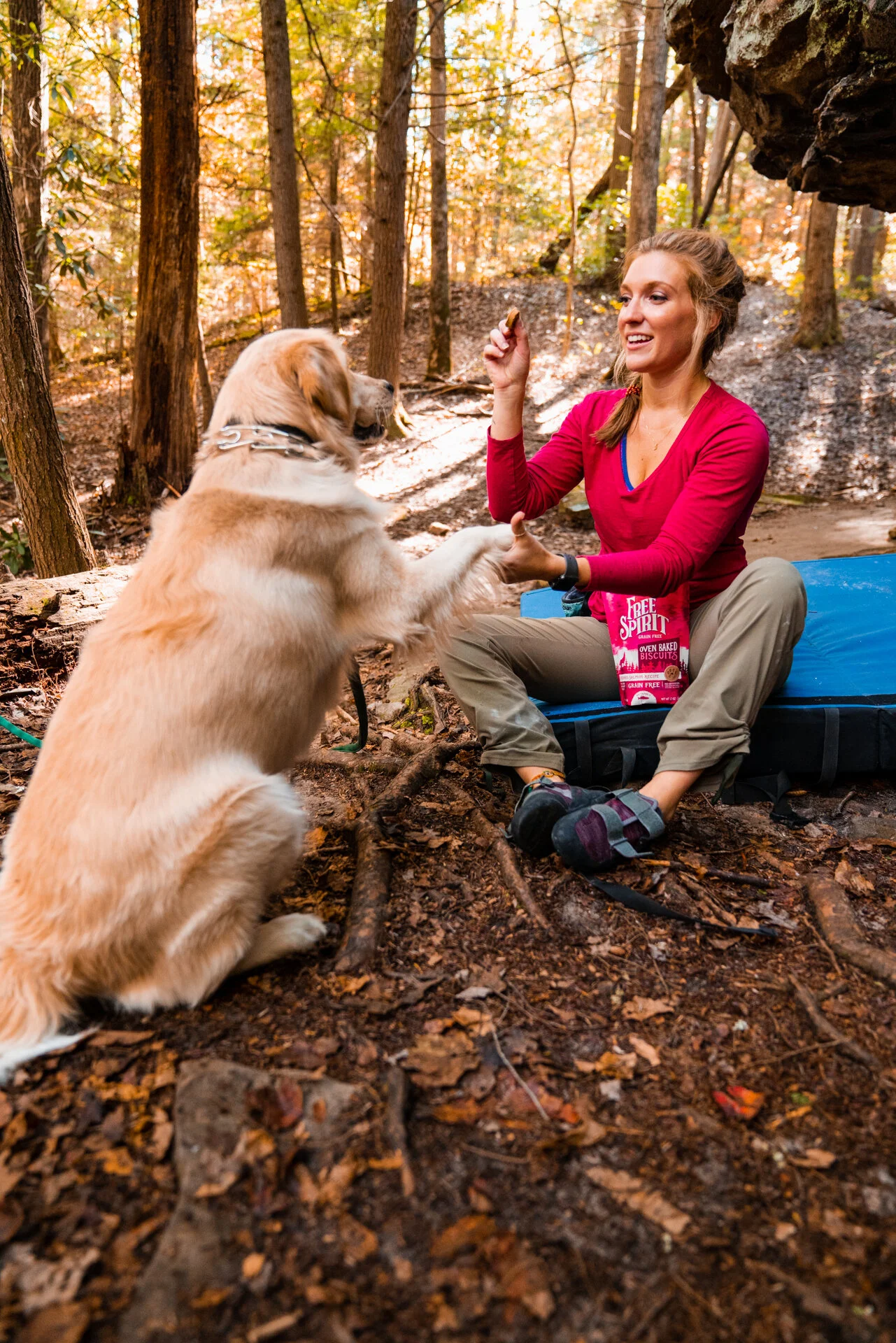 Climbing with Your Dog 101 — Triumph Pet Food