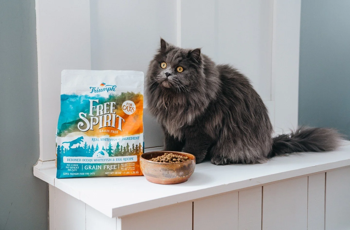 All Cat Products — Triumph Pet Food