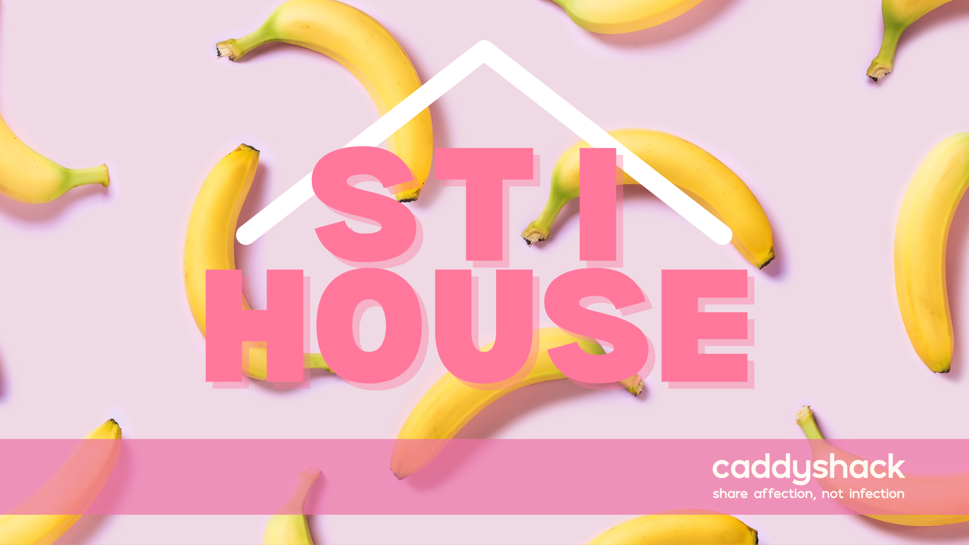 Educational Lesson Plan - Understanding STI's and BBV's (STI House) — Caddyshack Project ...