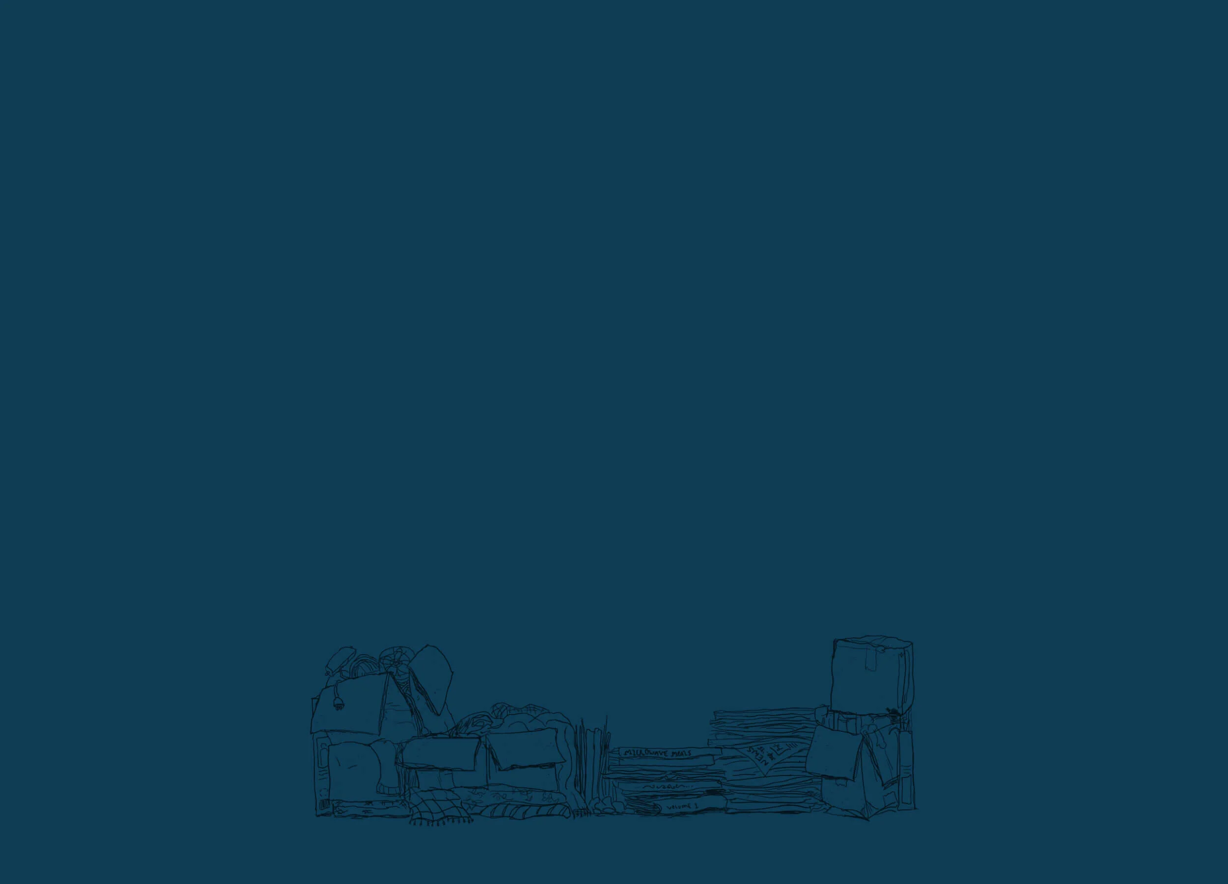 Clutter Cat - Professional Organising on the South Coast of NSW