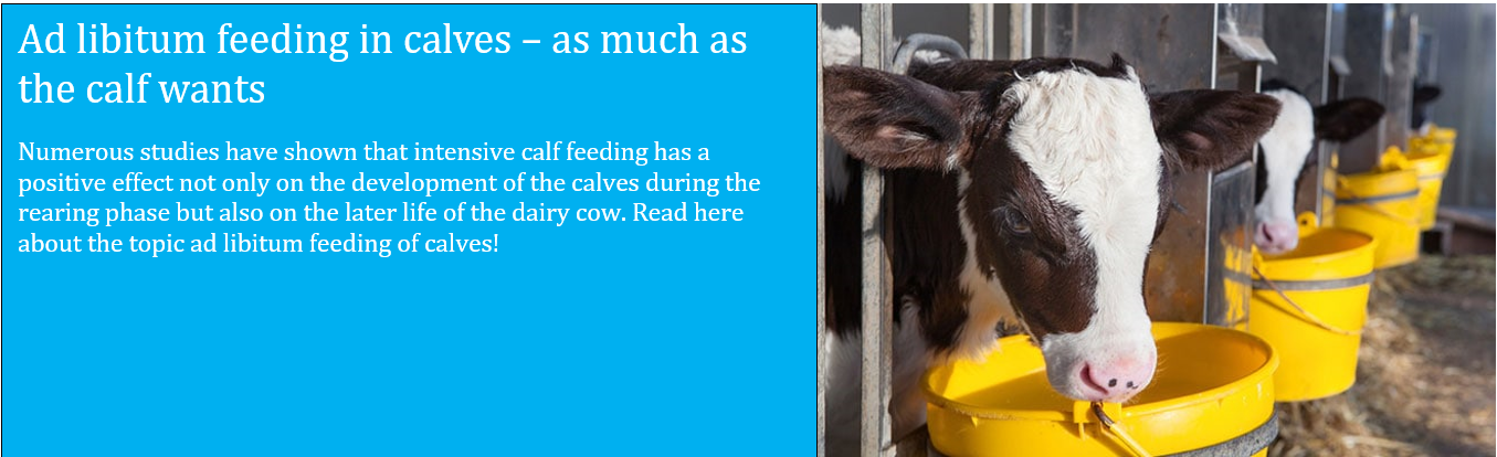 Ad Lib Feeding of calves — Biocalf oral rehydration