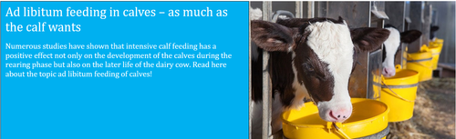 Ad Lib Feeding of calves — Biocalf oral rehydration