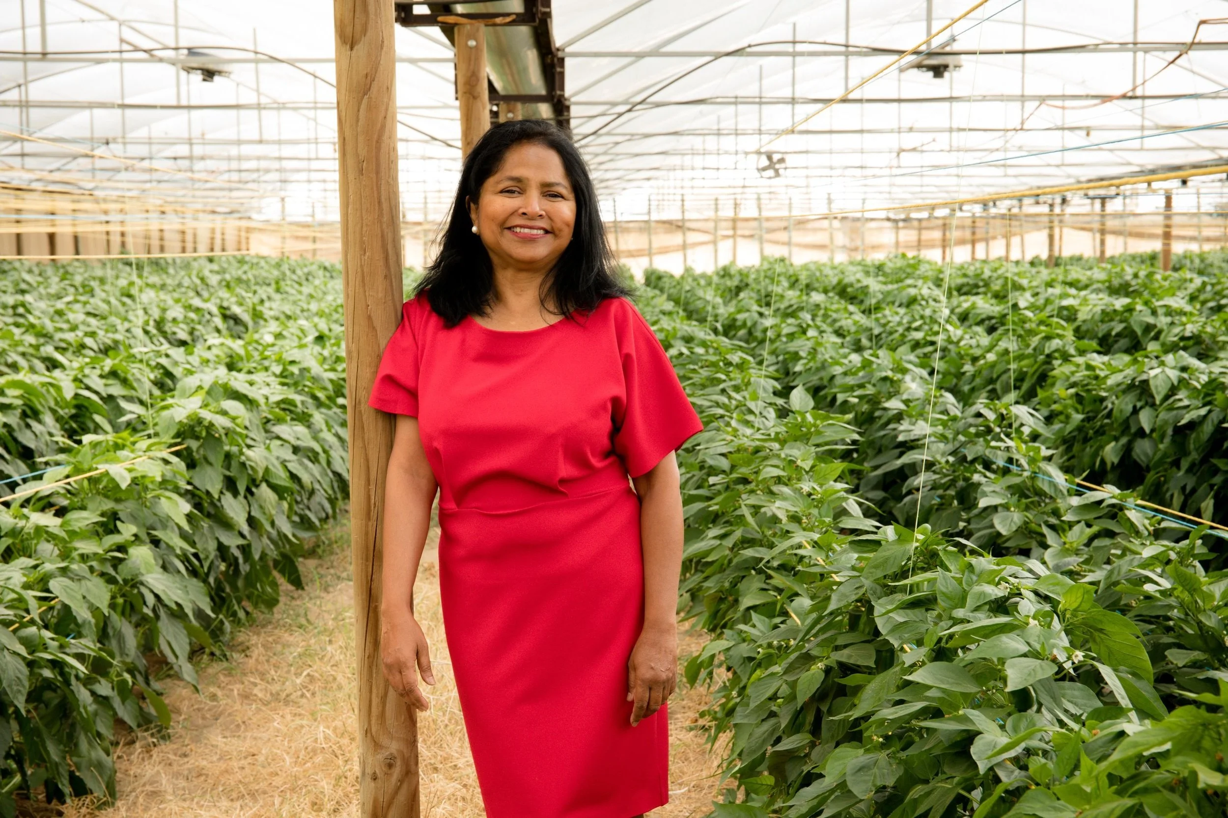 Clayton Consulting: Writer of Winning Grants, Tenders & Business Cases ...