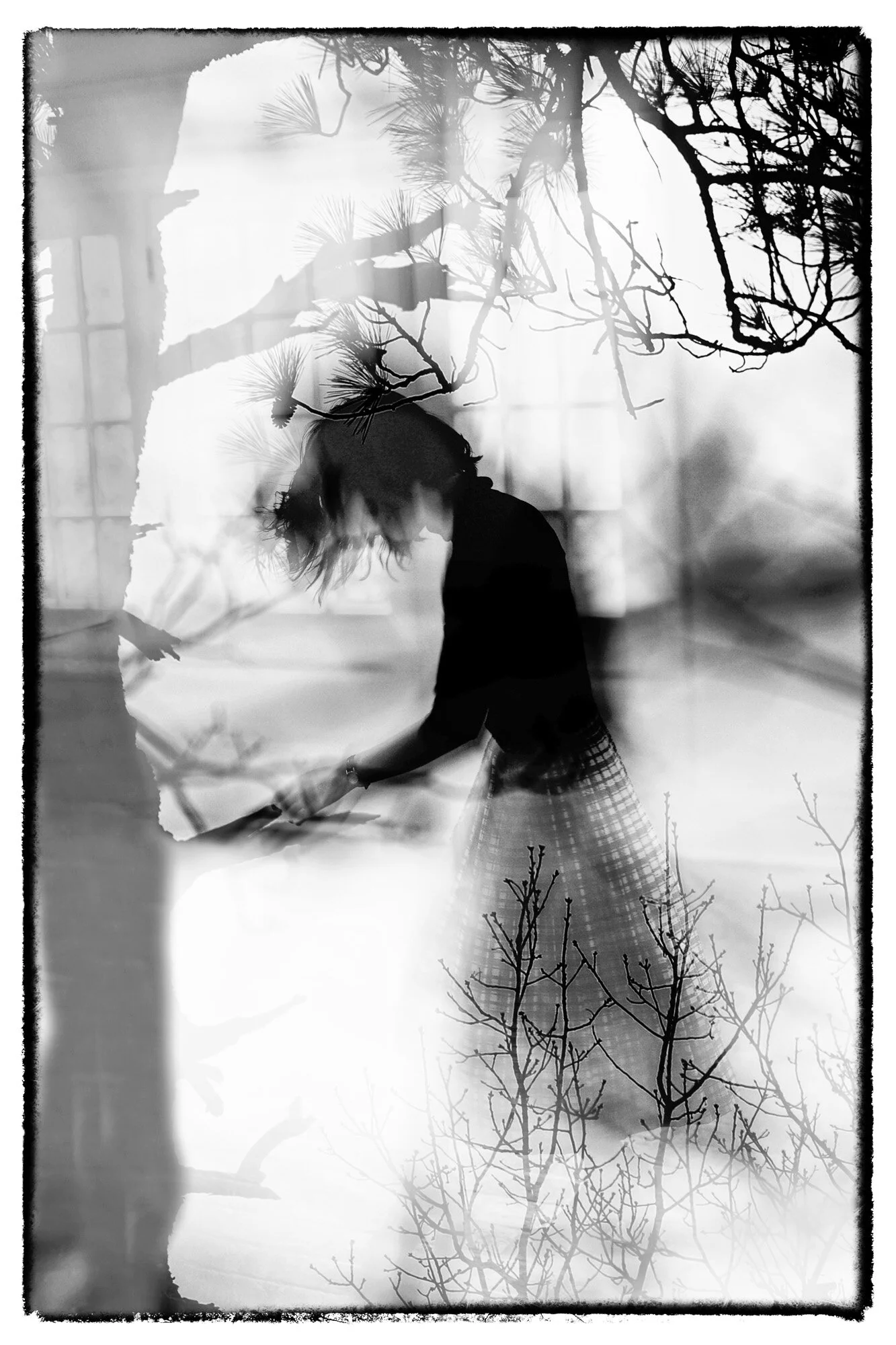 Images of Spirit — Patricia O'Driscoll Photography