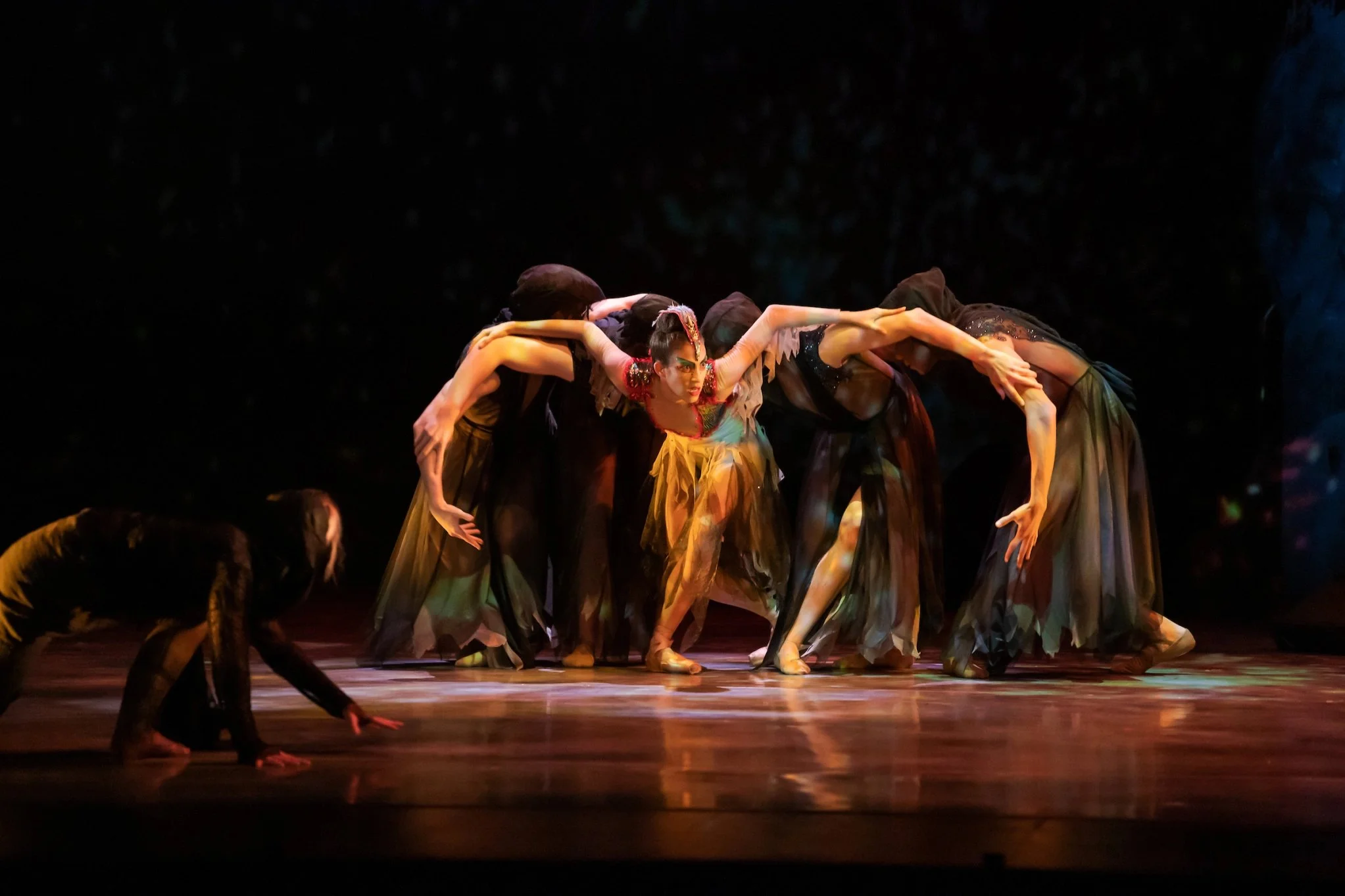 The Firebird: Royal New Zealand Ballet — Jetset Wanderlust