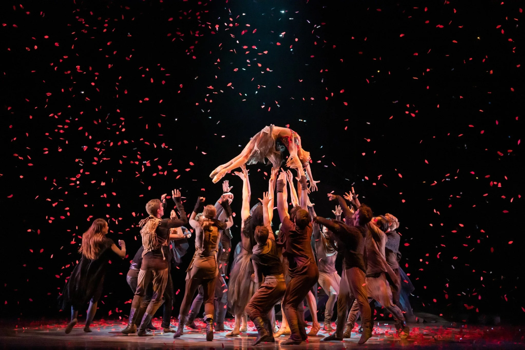 The Firebird: Royal New Zealand Ballet — Jetset Wanderlust