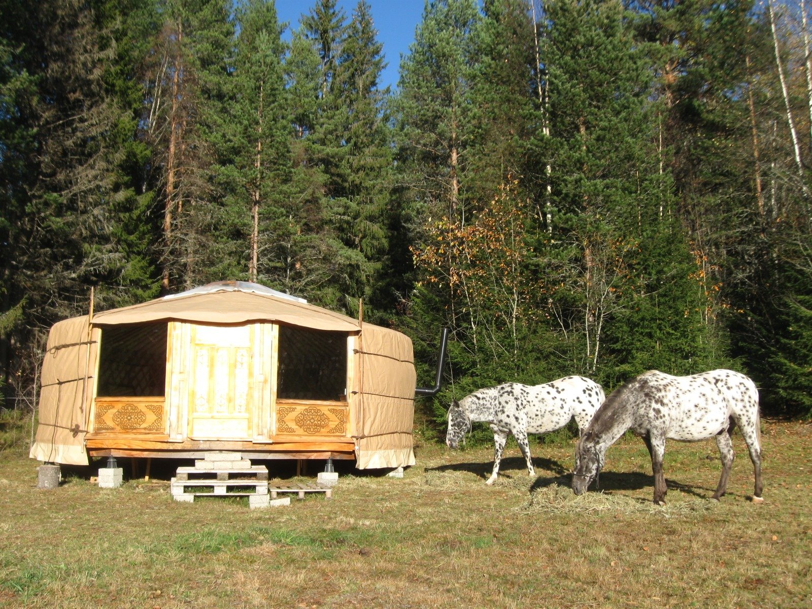 Classes — Living Wild