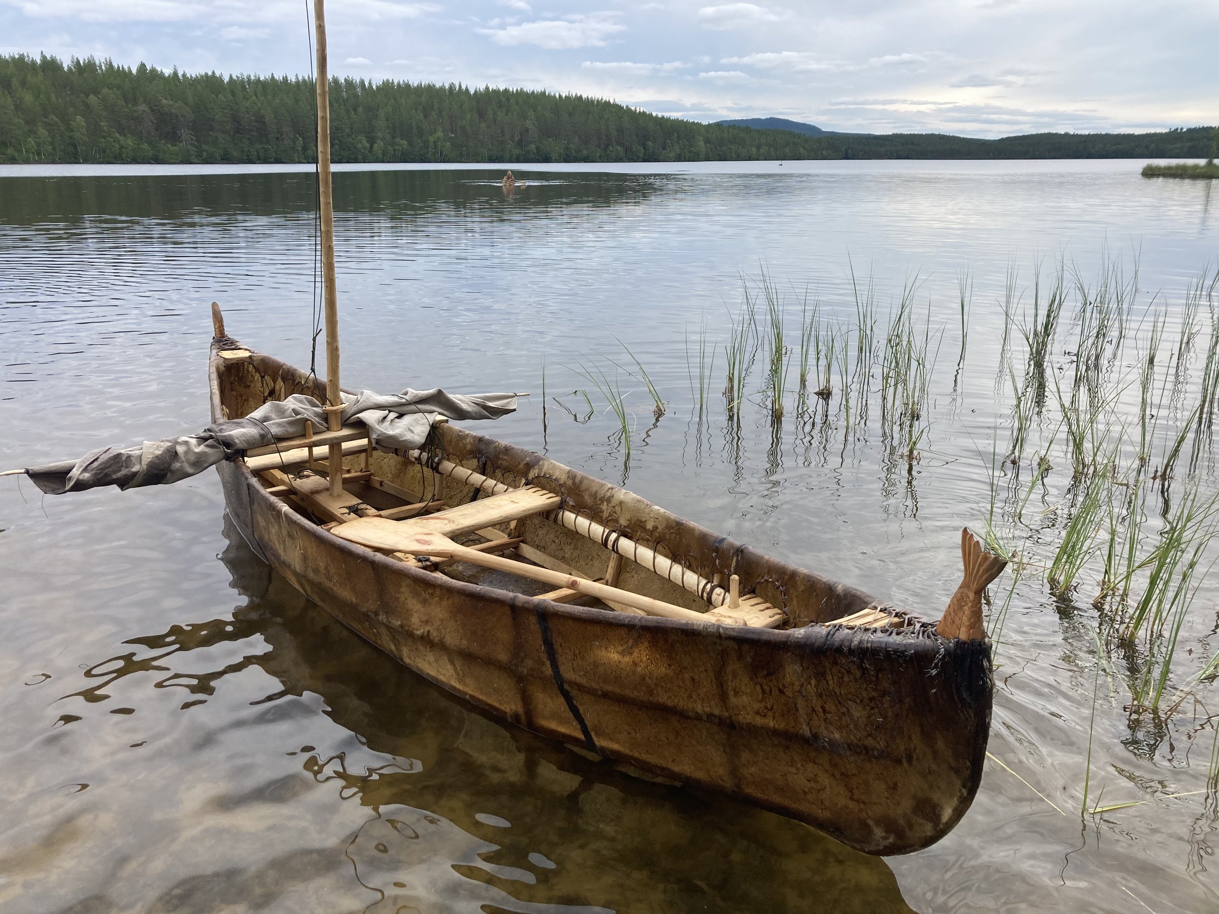 Classes — Living Wild