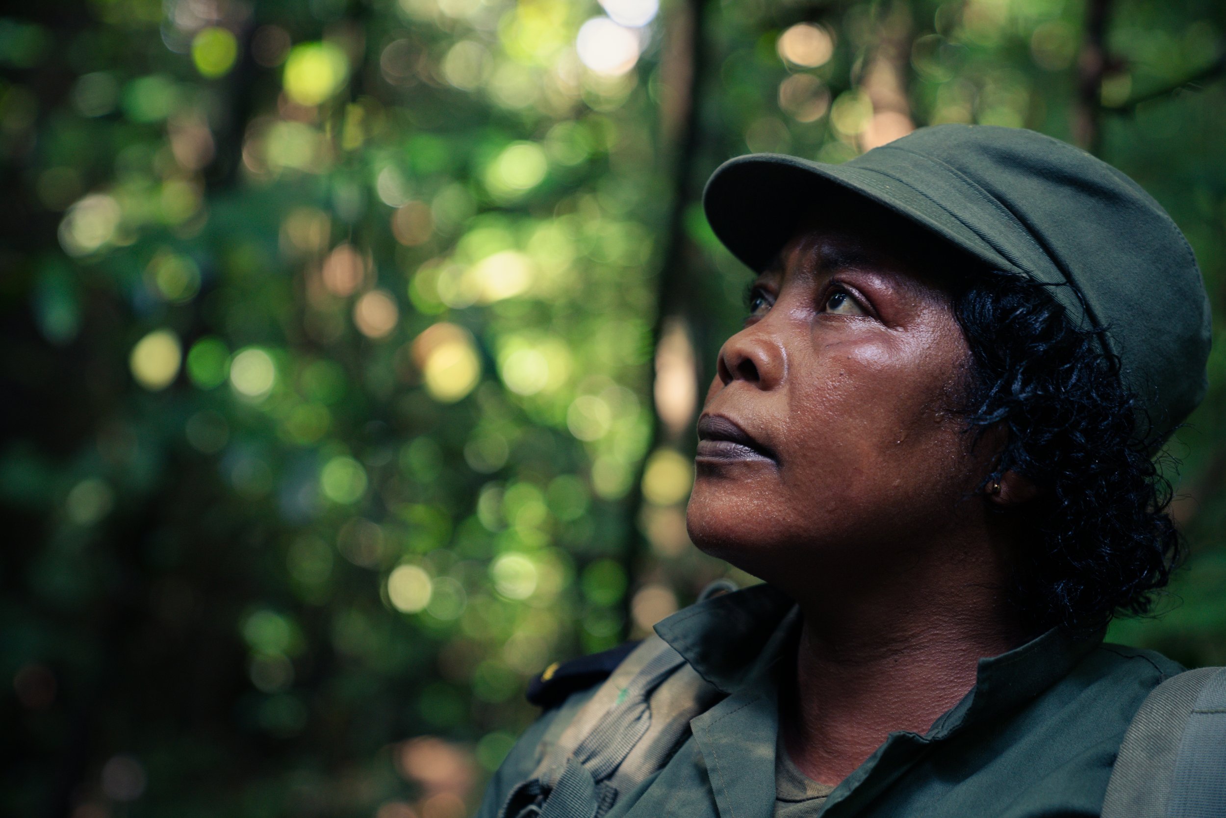 Park Protection — Gola Rainforest National Park