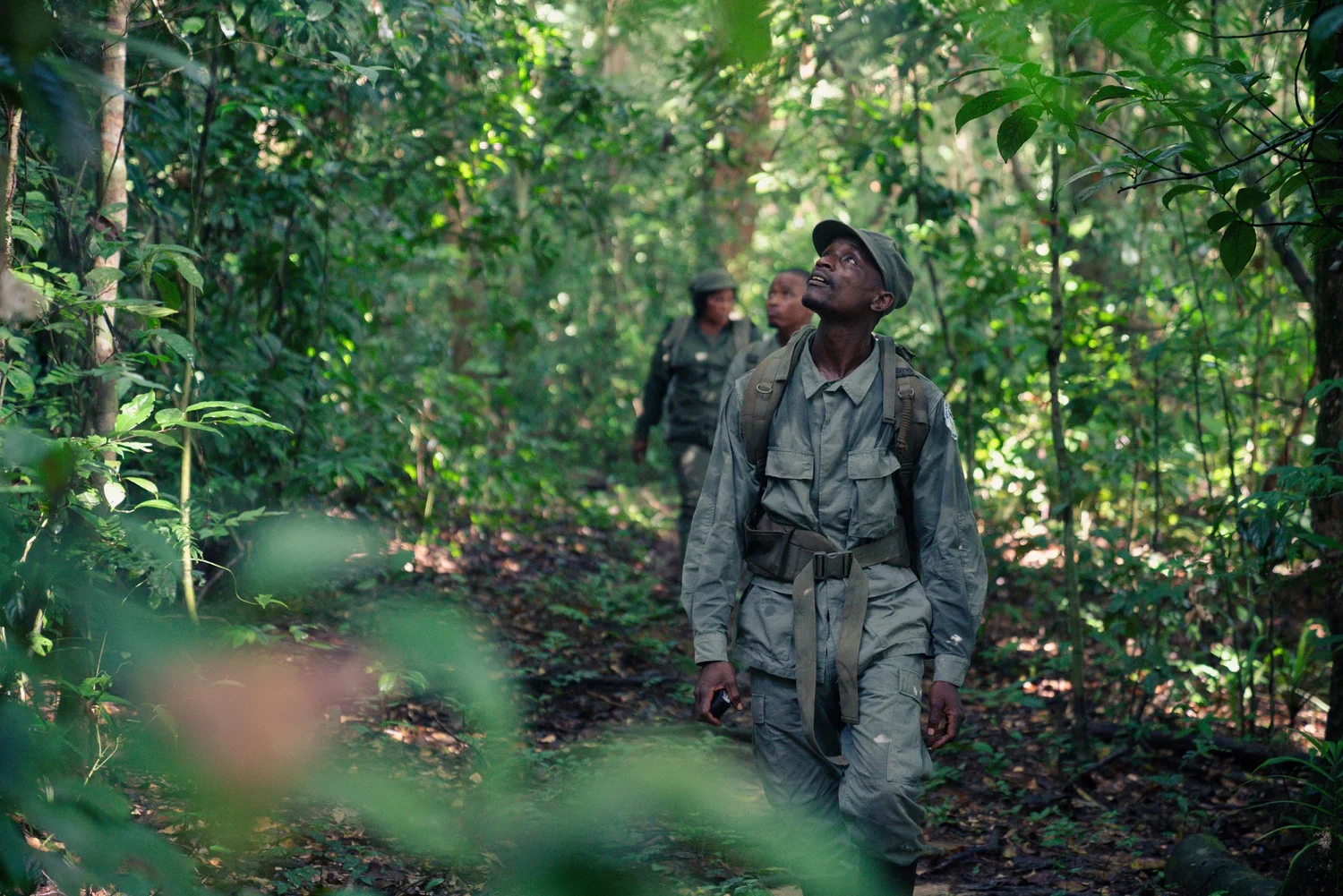 Park Protection — Gola Rainforest National Park