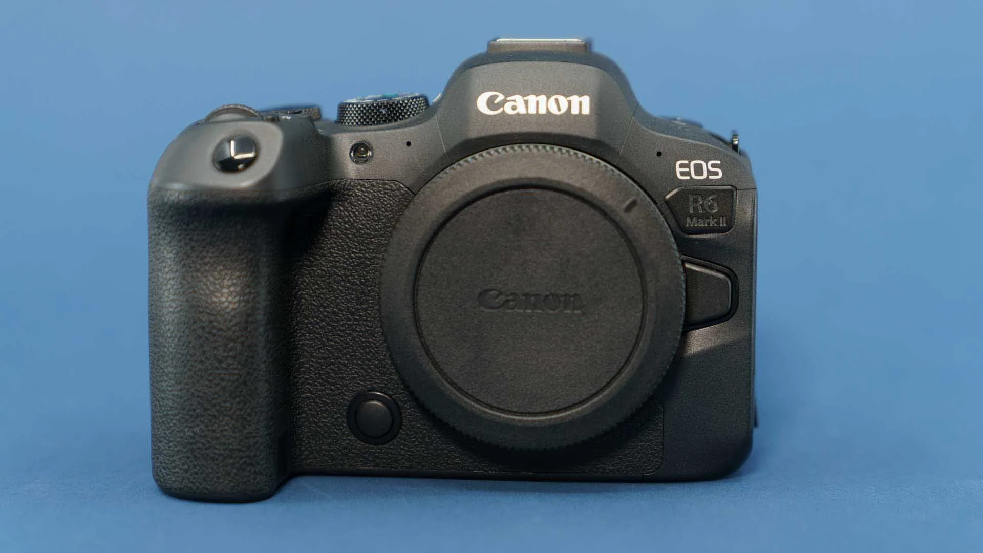 Canon EOS R6 Mark II Review — SheClicks