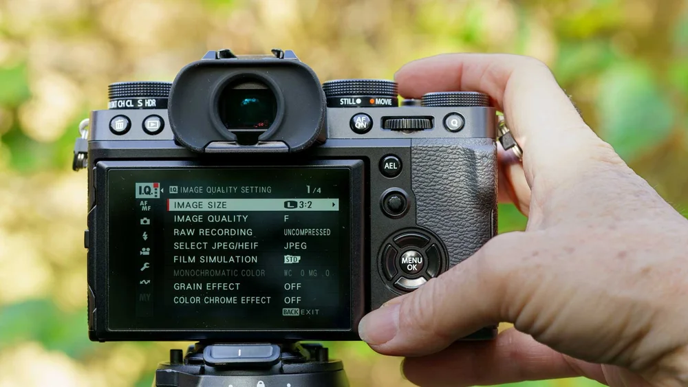 Fujifilm X-T5 Review — SheClicks
