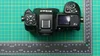 Nikon Z8 Review — SheClicks
