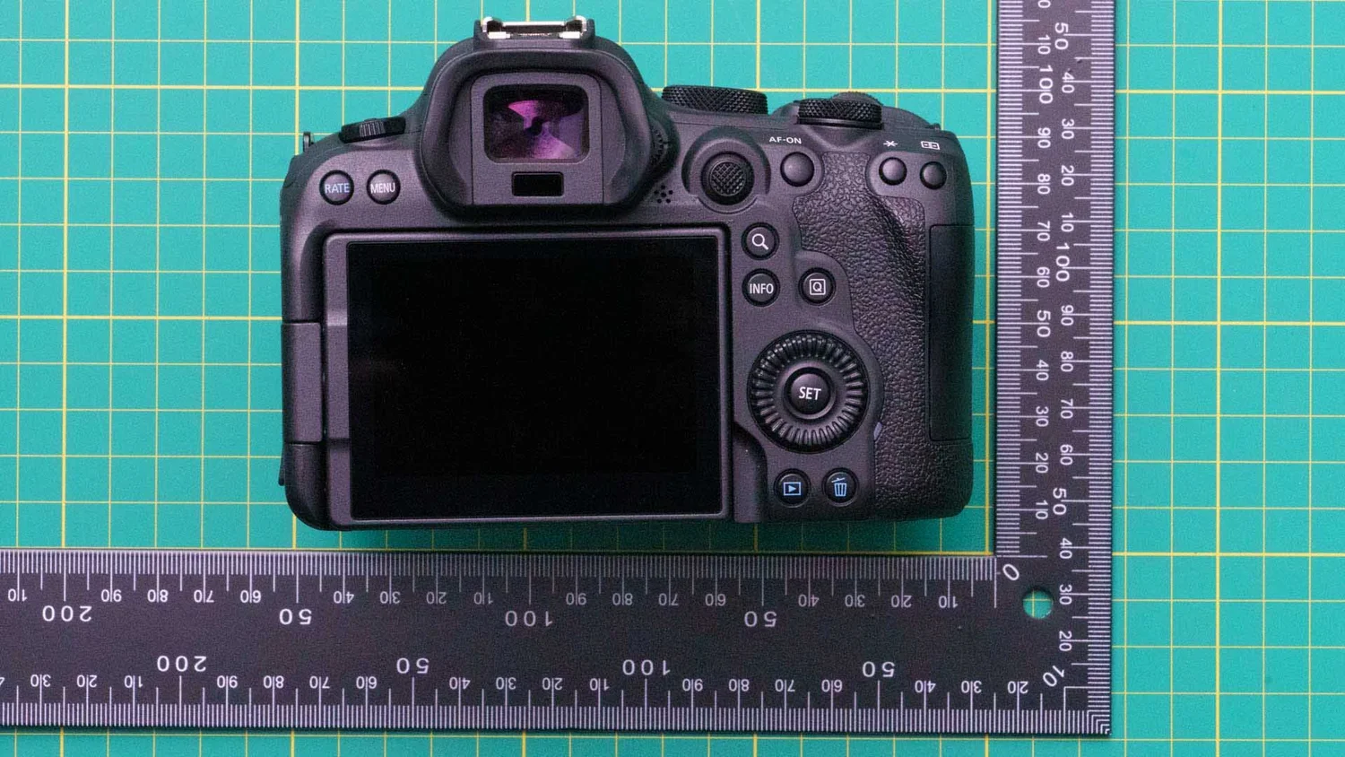 Canon EOS R6 Mark II Review — SheClicks