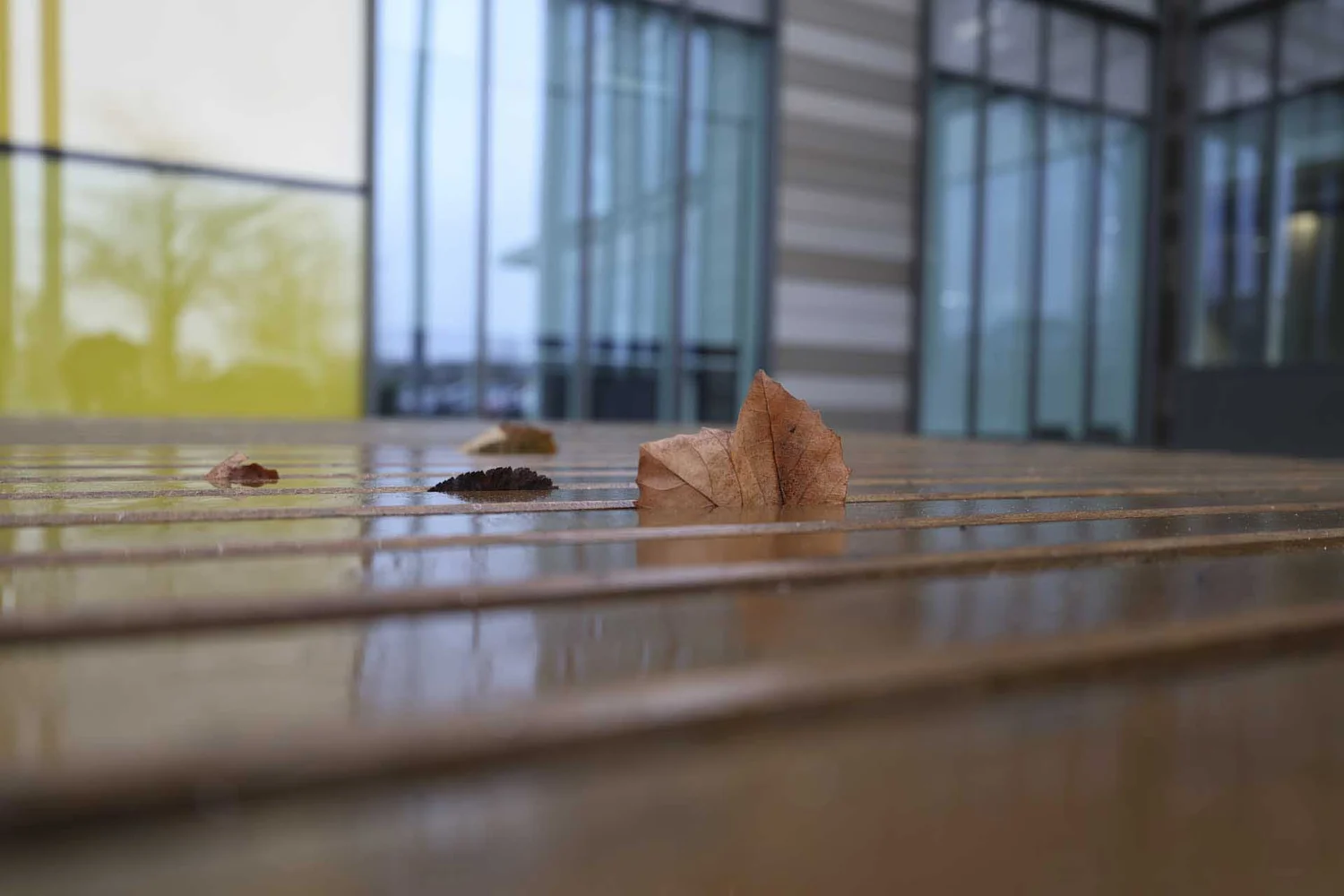 Canon RF 16-28mm F2.8 IS STM Hands-on Review — SheClicks