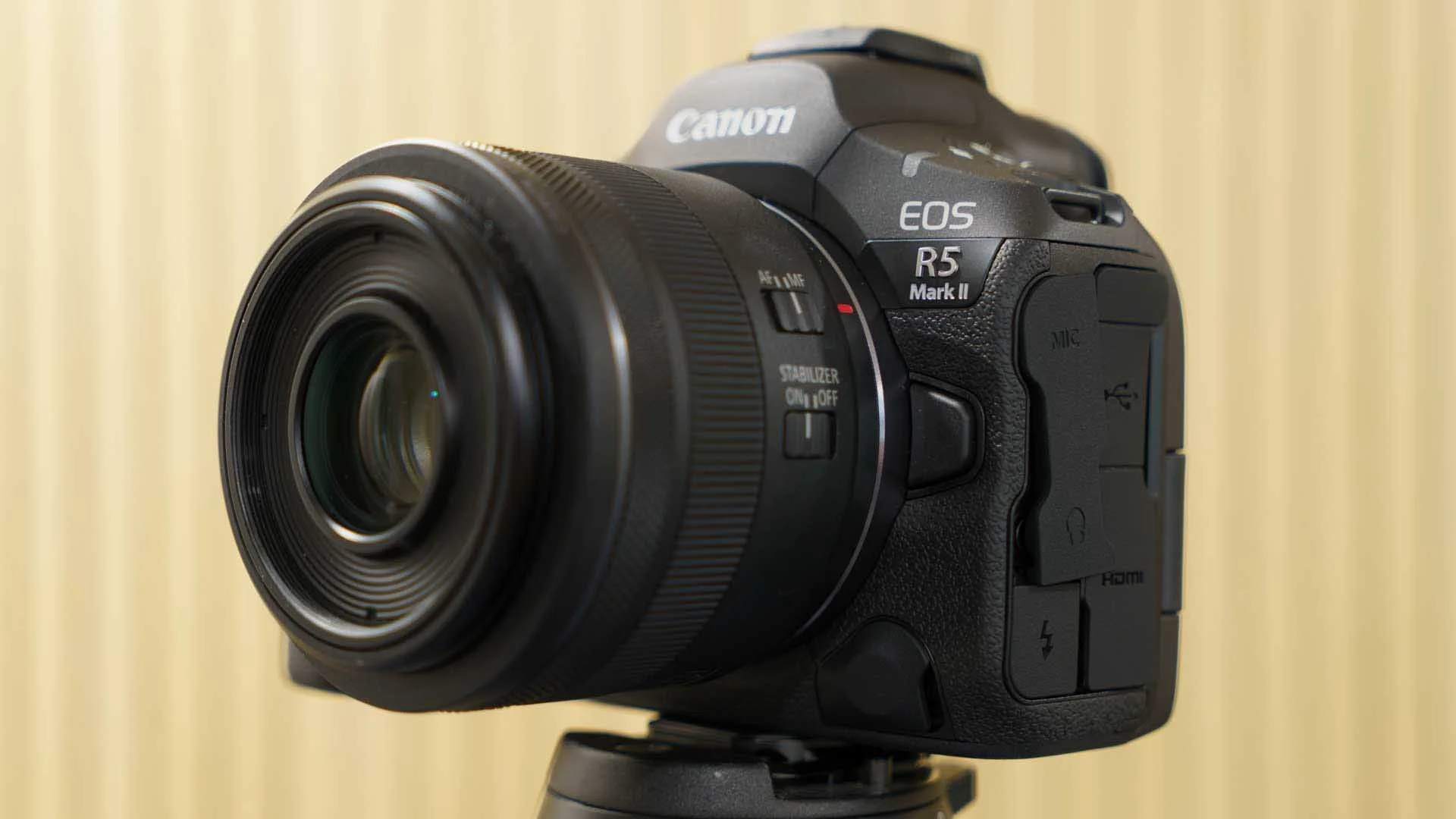 Canon EOS R5 Mark II vs Canon EOS R5 — SheClicks
