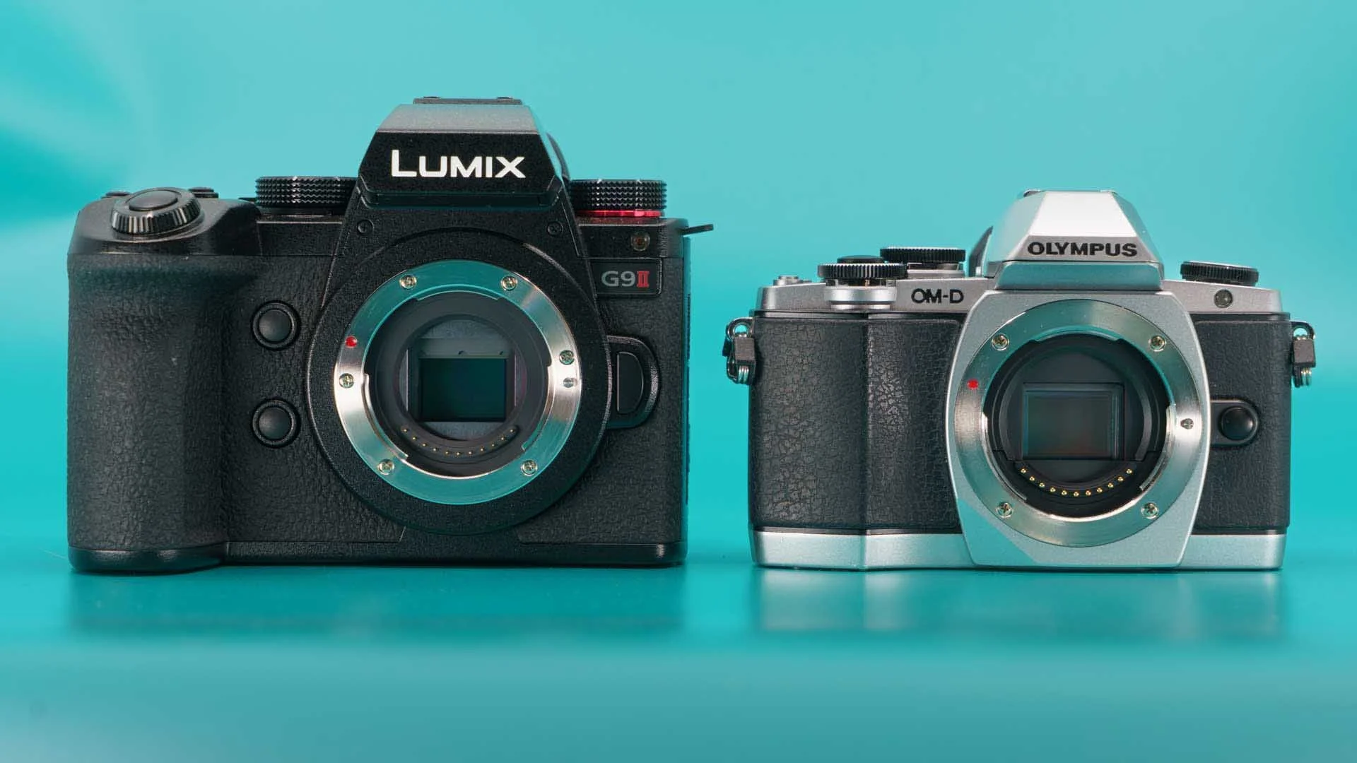 Understanding Camera Sensor Sizes — SheClicks