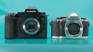 Understanding Camera Sensor Sizes — SheClicks