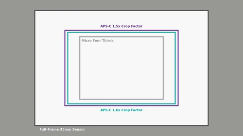 Understanding Camera Sensor Sizes — SheClicks