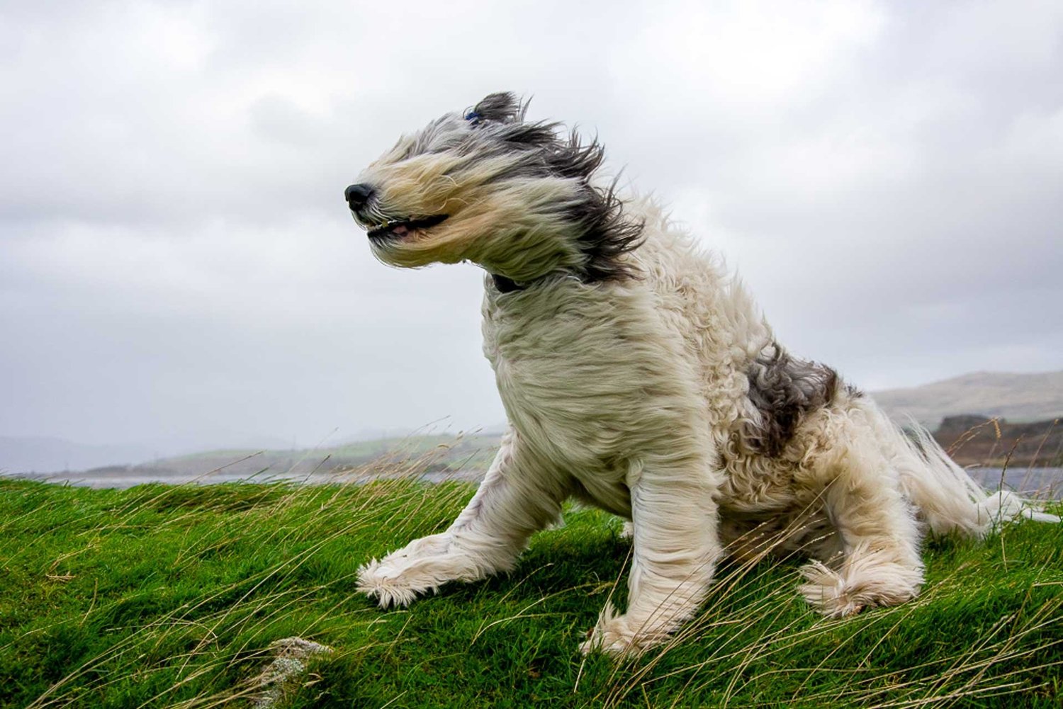 Gallery — SheClicks