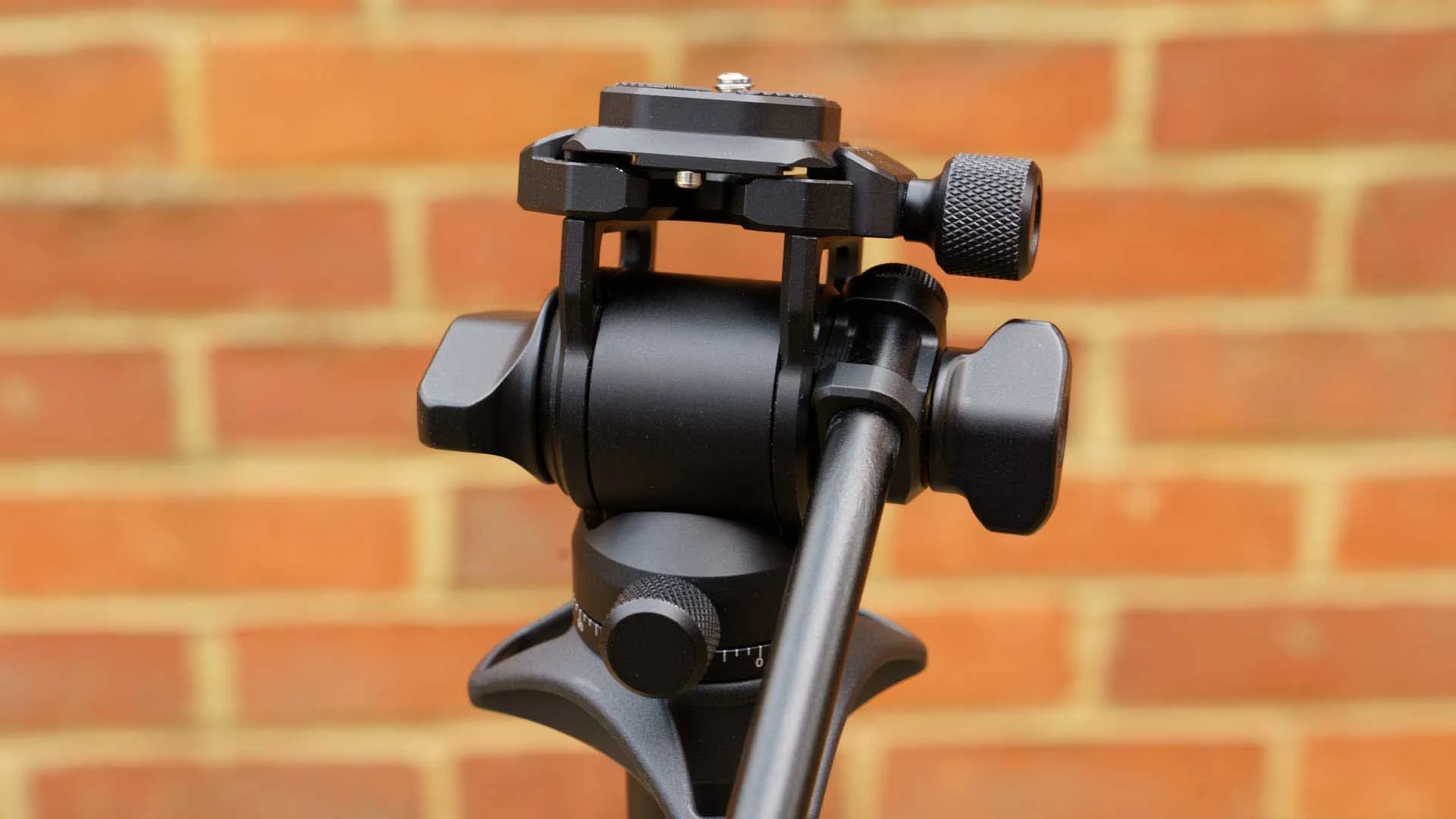 3 Legged Thing AirHed Trinity Review — SheClicks