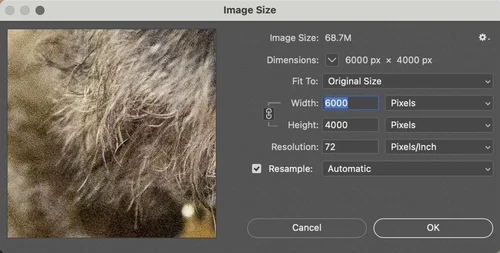 Camera Resolution Explained — SheClicks