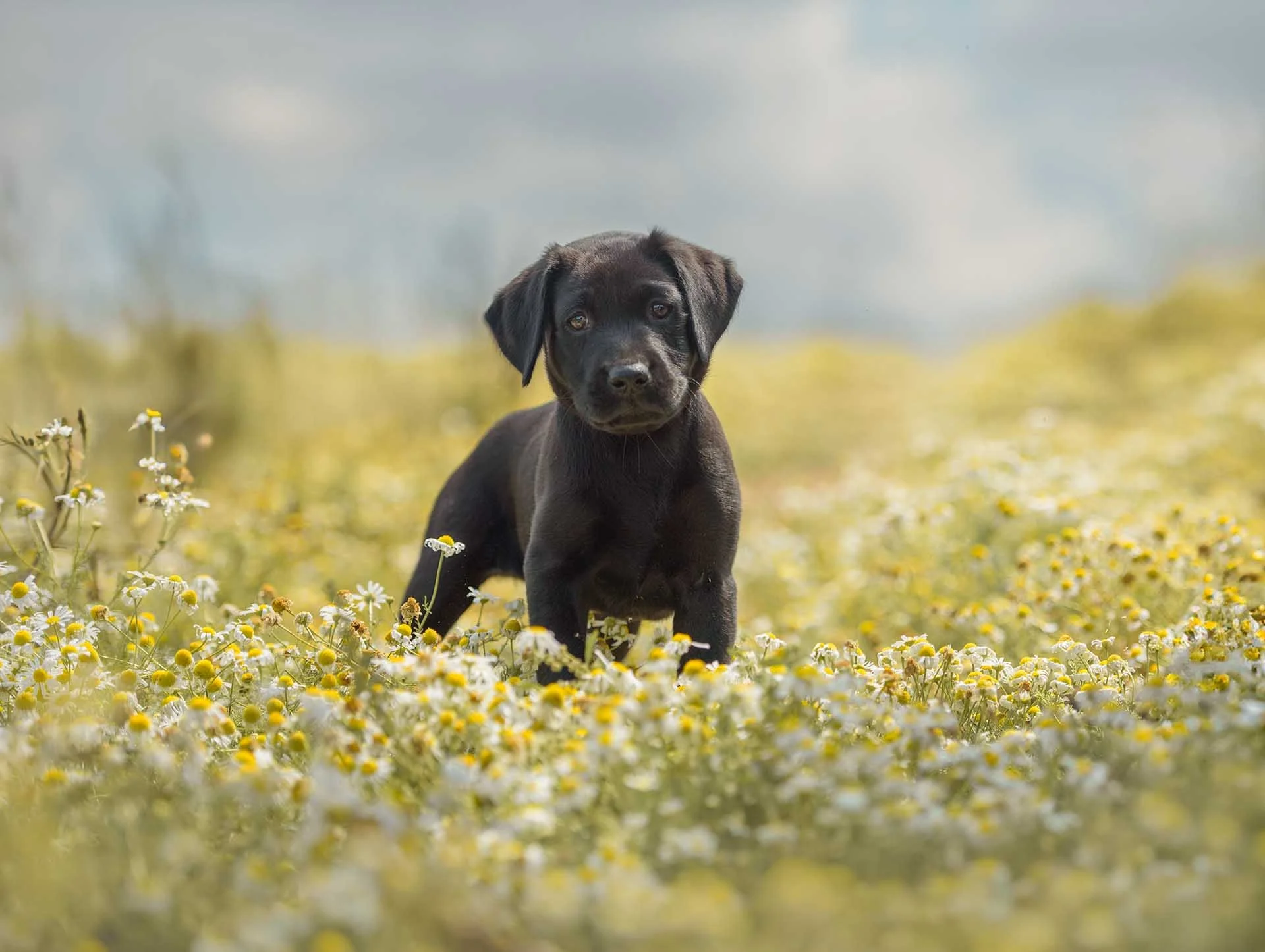 Gallery — SheClicks