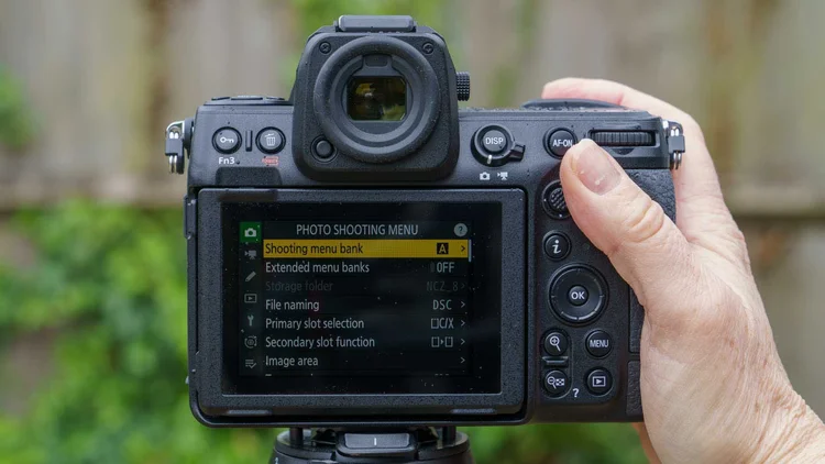 Nikon Z8 Review — SheClicks