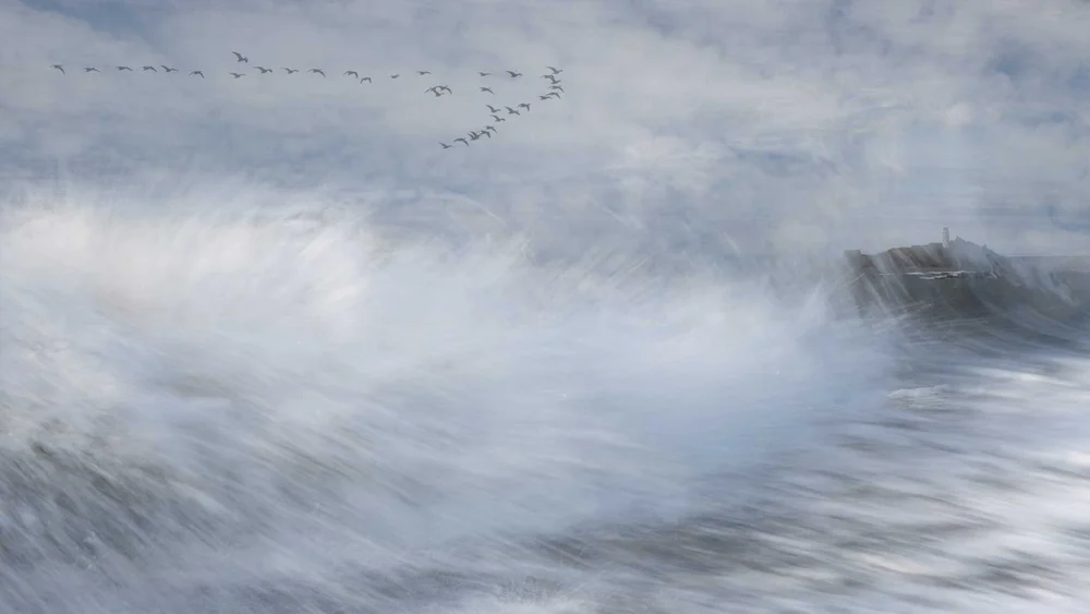 Gallery — SheClicks