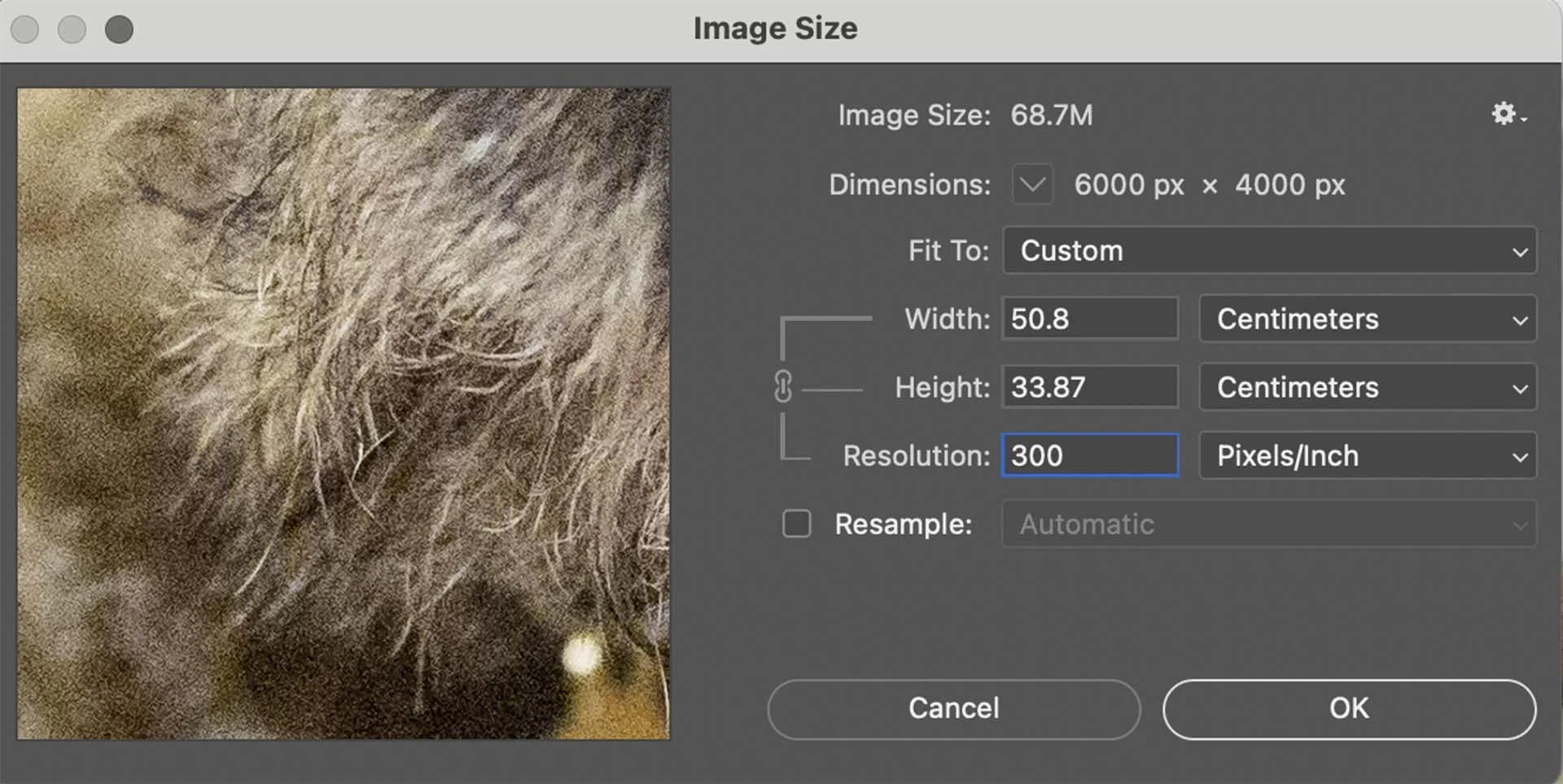 Camera Resolution Explained — SheClicks