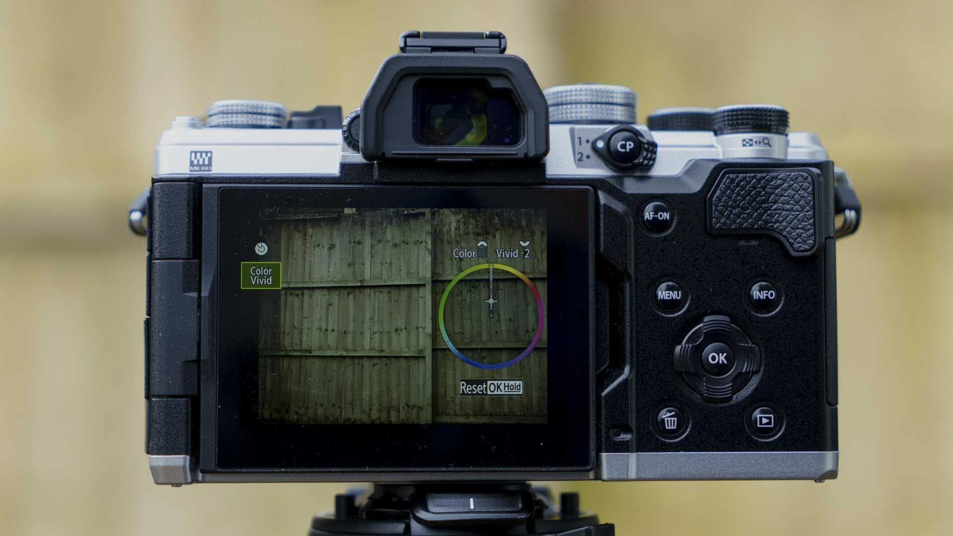 OM System OM-3 Hands-on Review — SheClicks
