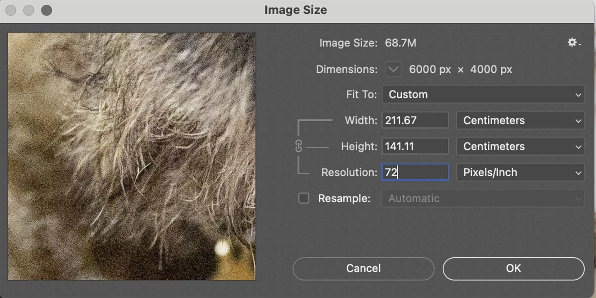 Camera Resolution Explained — SheClicks