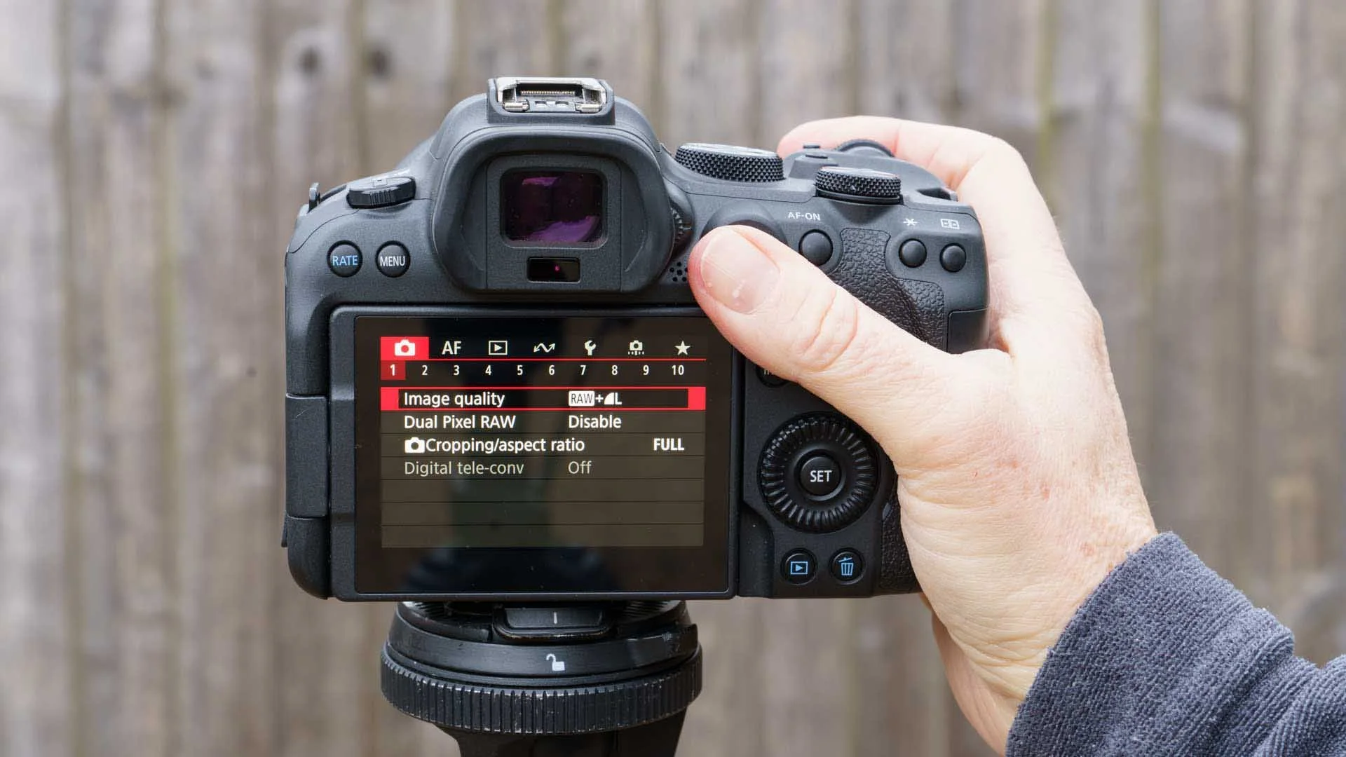 Canon EOS R6 Mark II Review — SheClicks