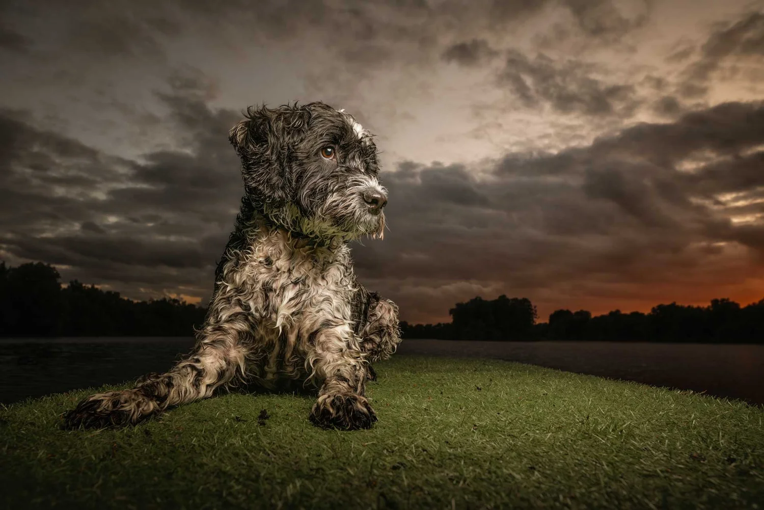 Gallery — SheClicks