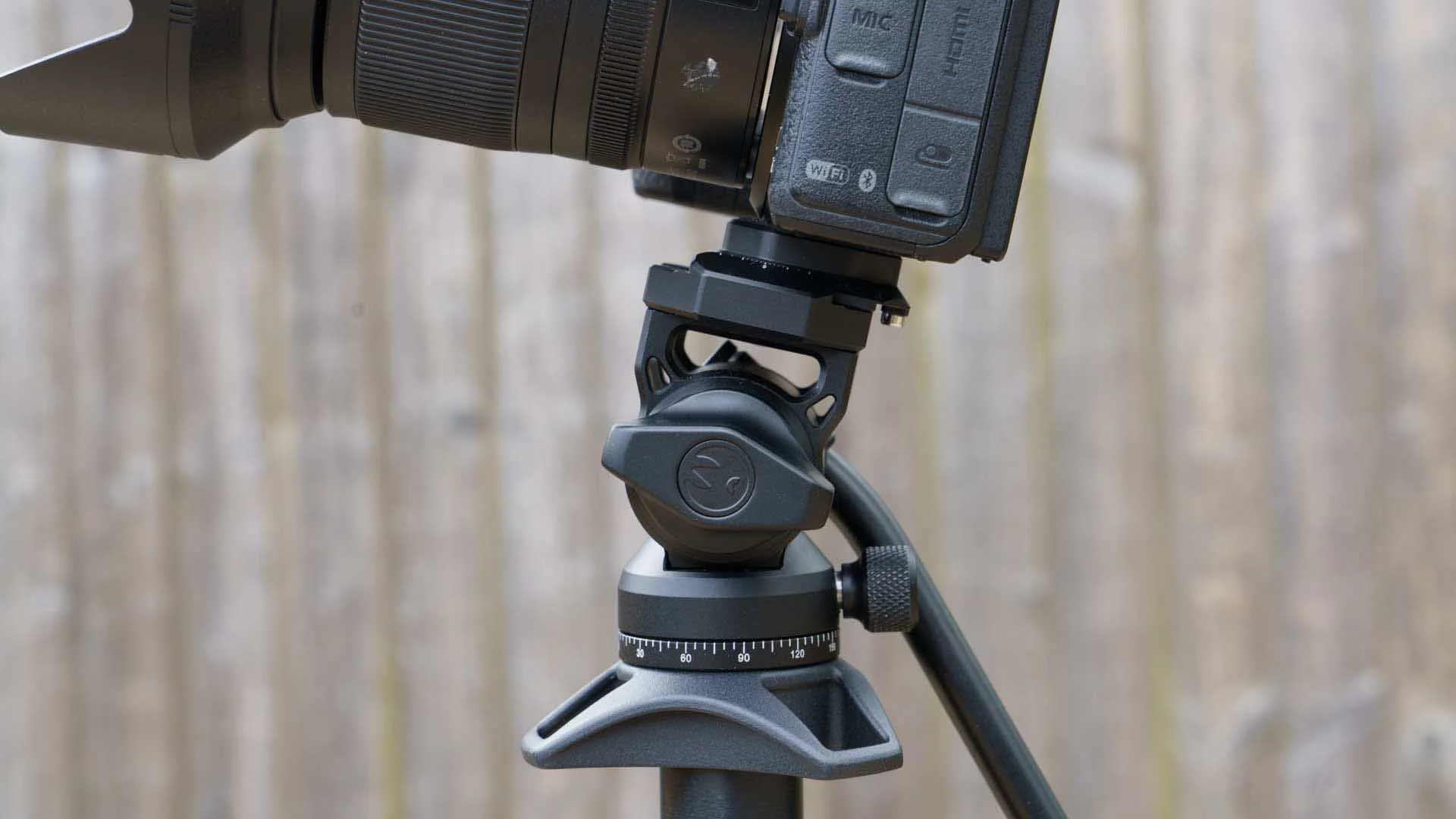 3 Legged Thing AirHed Trinity Review — SheClicks