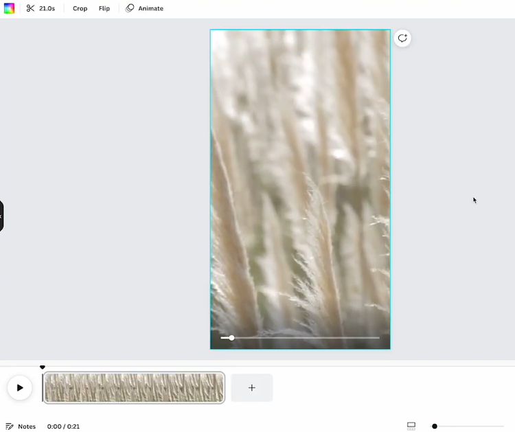 How to Make Reels in Canva — Bold August Design Studio