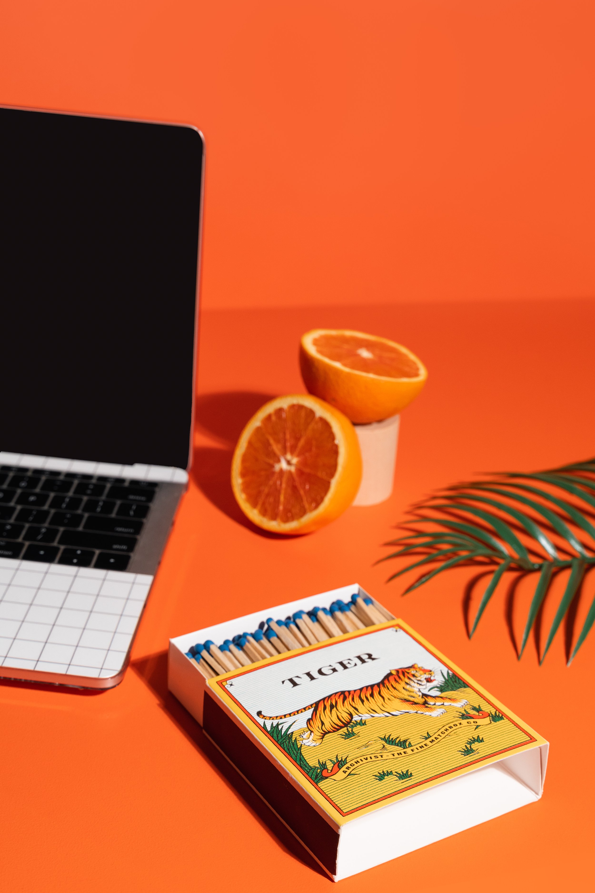 Bold August Design Studio