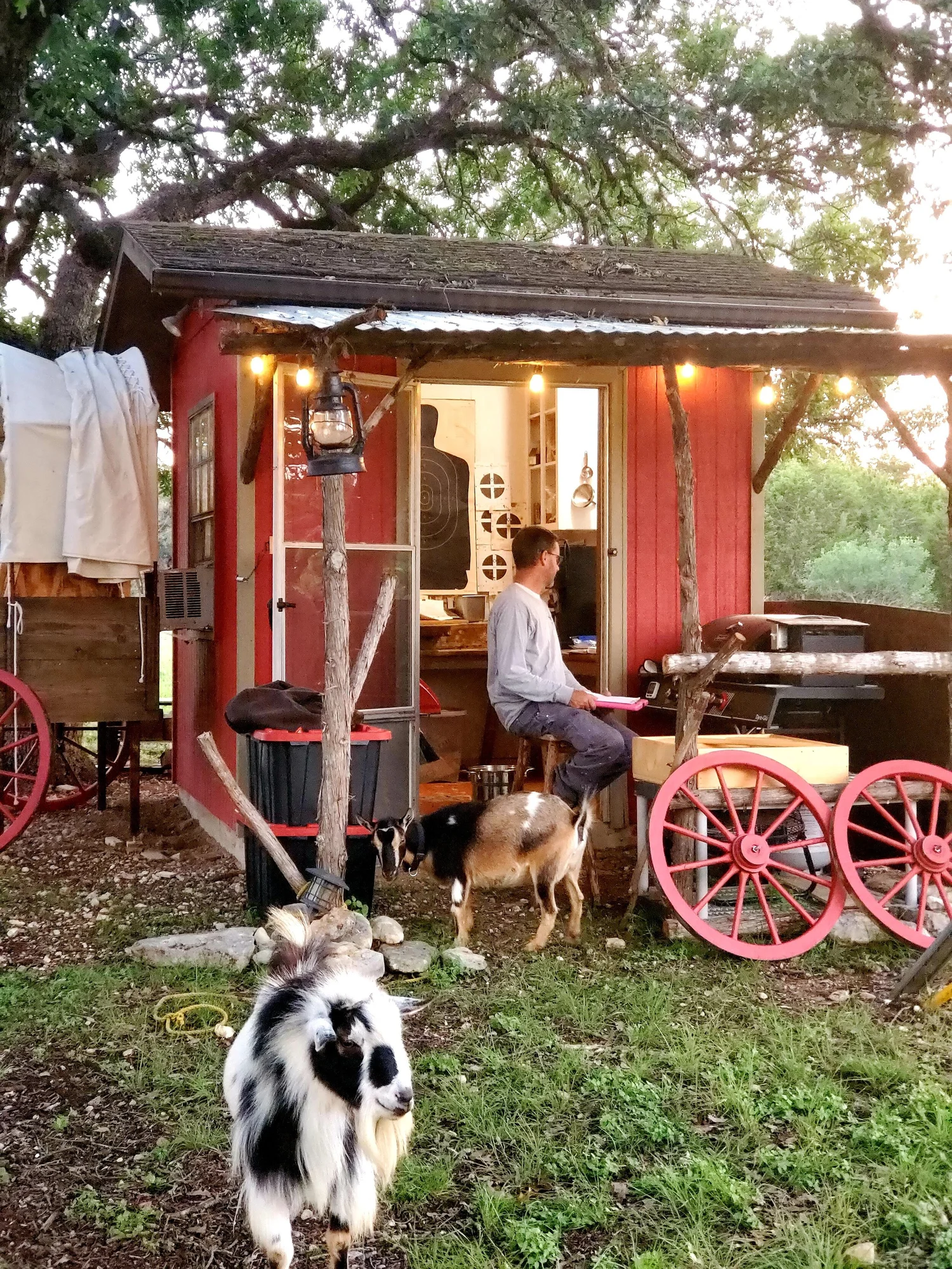 GROW IT — HITCHMAN HOMESTEAD