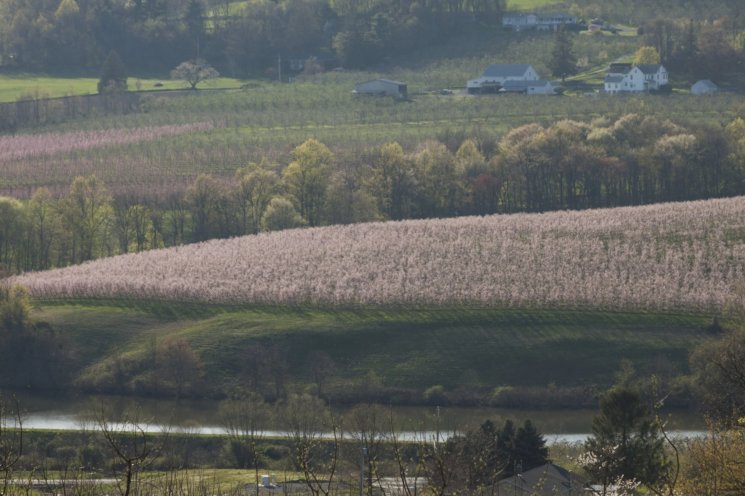 Land Conservancy of Adams County