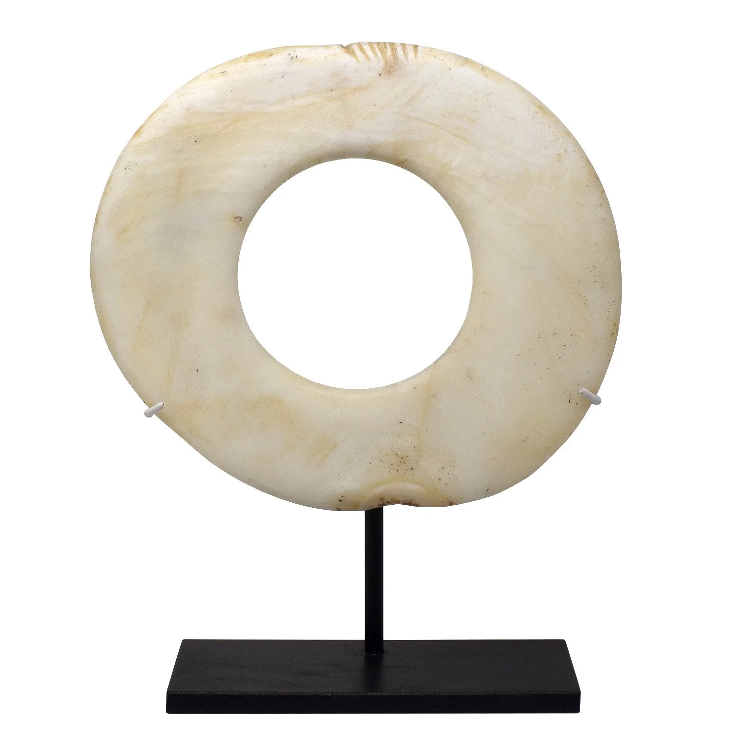 Bailer Shell Pectoral #1, Papua New Guinea — Morgan Oakes Gallery