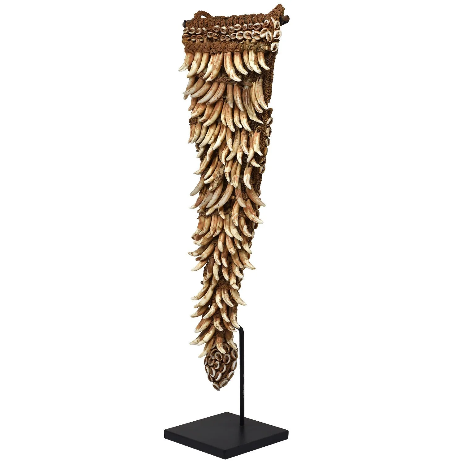 Ceremonial Dog Tooth Pectoral Adornment, Papua New Guinea — Morgan ...